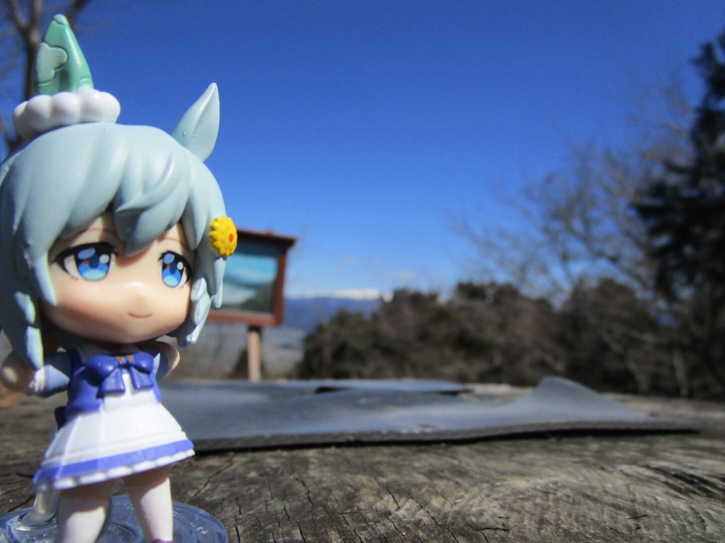 セイウンスカイ / NBOX3180さんの文殊山の活動日記 | YAMAP / ヤマップ