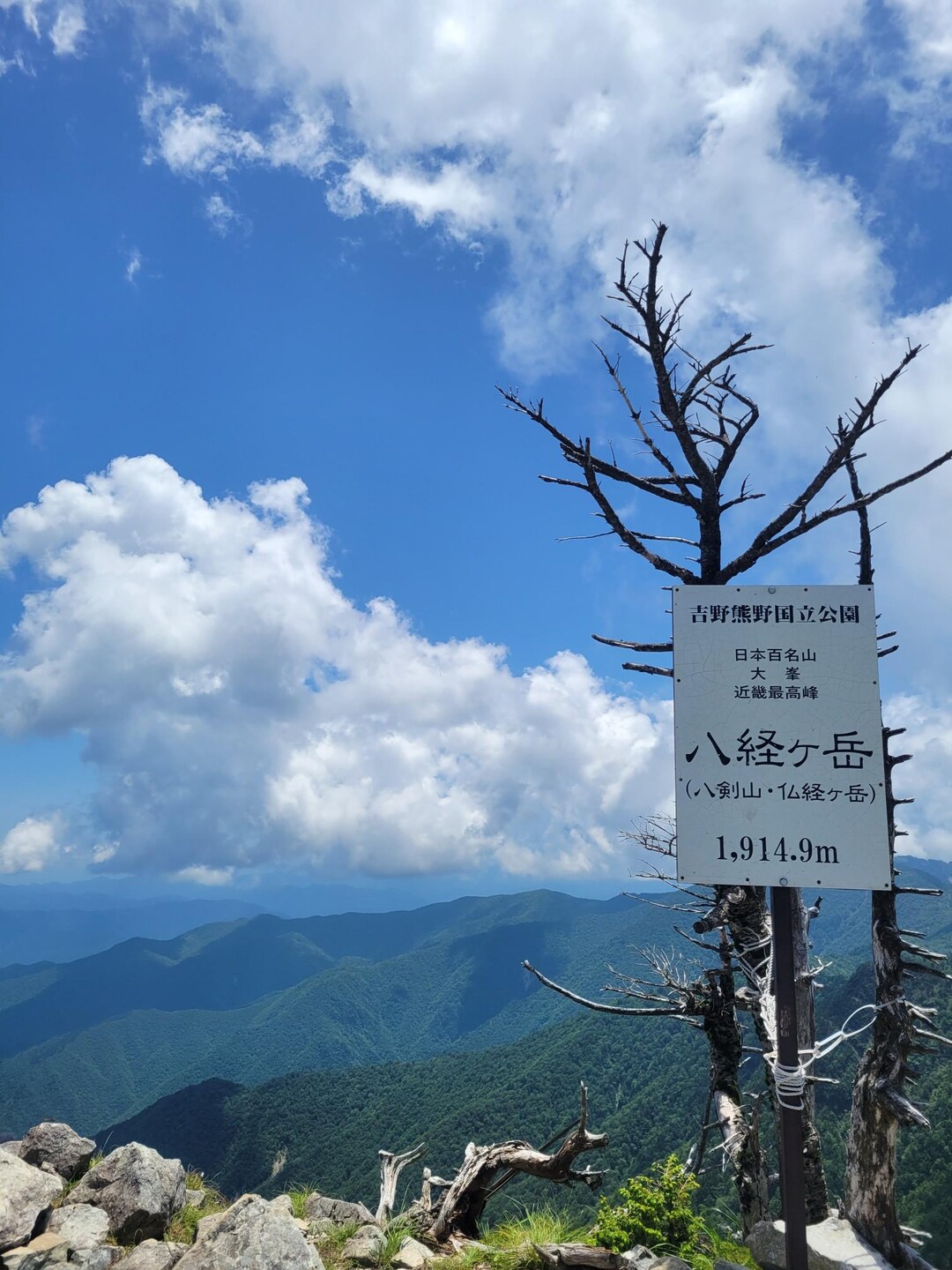 暑すぎる八経ヶ岳 / SHI---さんの八経ヶ岳の活動データ | YAMAP / ヤマップ