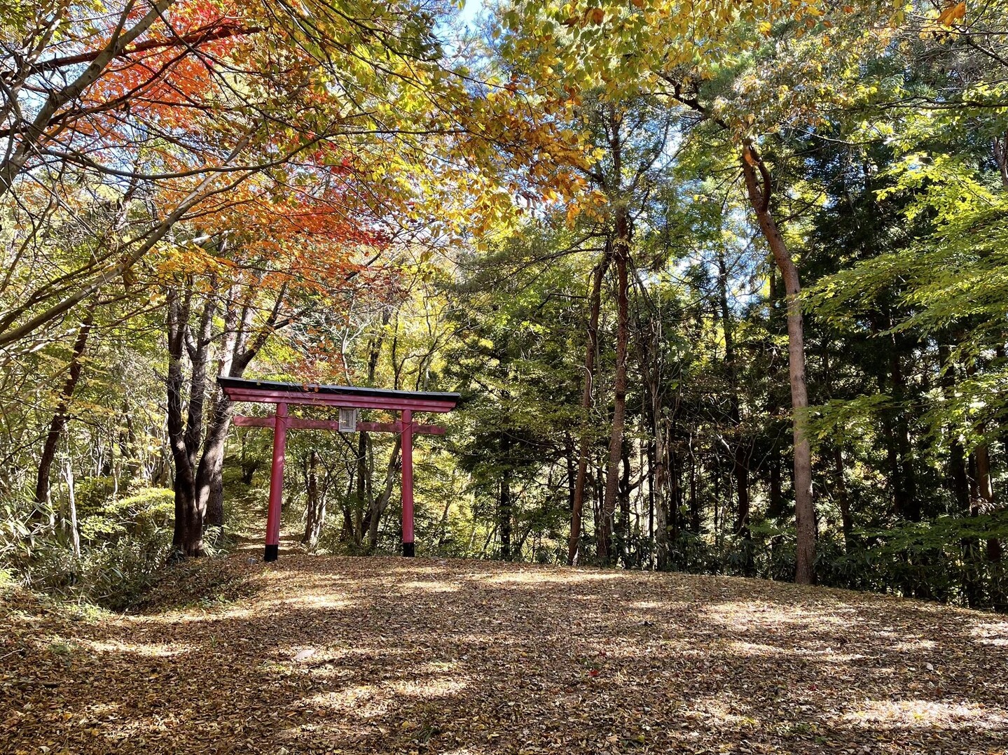 羽黒山🍁旧うつくしま百名山 / eeeeeeiichi さんの相馬市の活動データ | YAMAP / ヤマップ