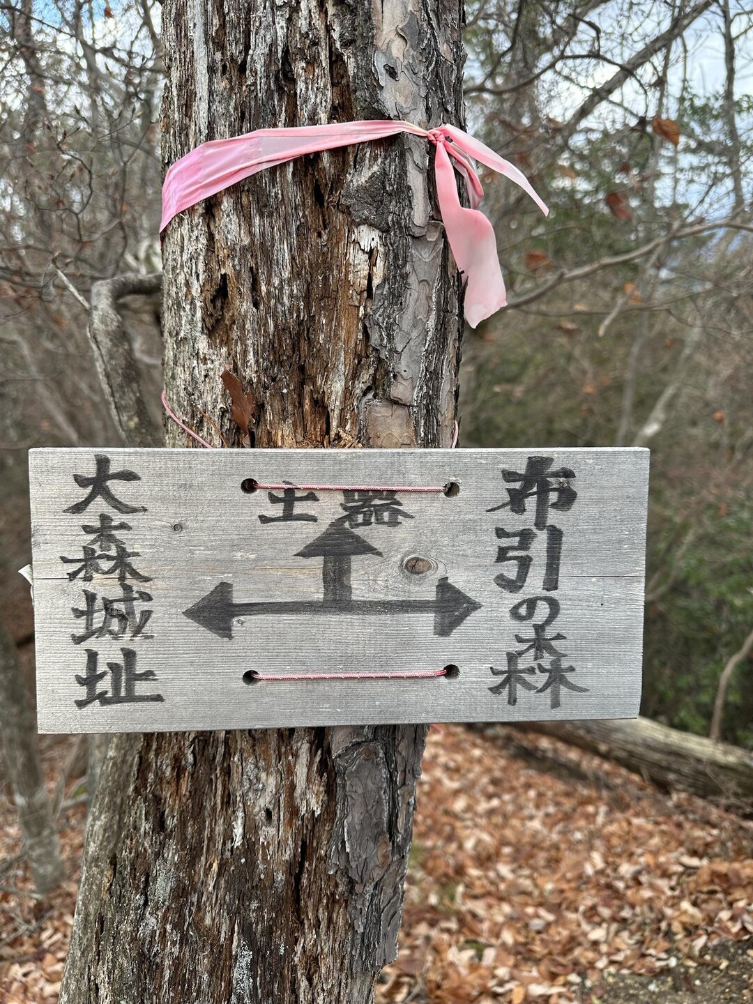 大森城址〜布引の森 下見 / asobimanさんのウォーキングの活動日記 | YAMAP / ヤマップ