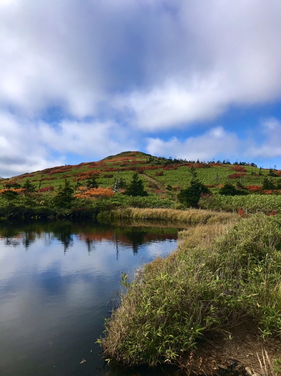 🐾犬なし😭🐾 三ッ石山 / AL_Maxさんの三ッ石山・大深岳・諸桧岳の活動データ | YAMAP / ヤマップ