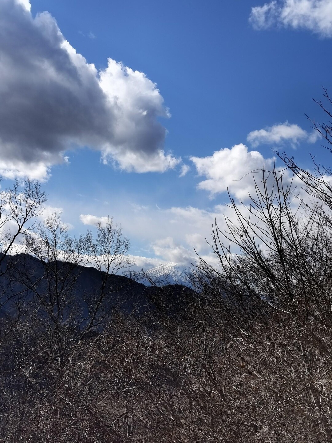 倉岳山 / KENJIさんの倉岳山・高畑山・九鬼山の活動データ | YAMAP / ヤマップ