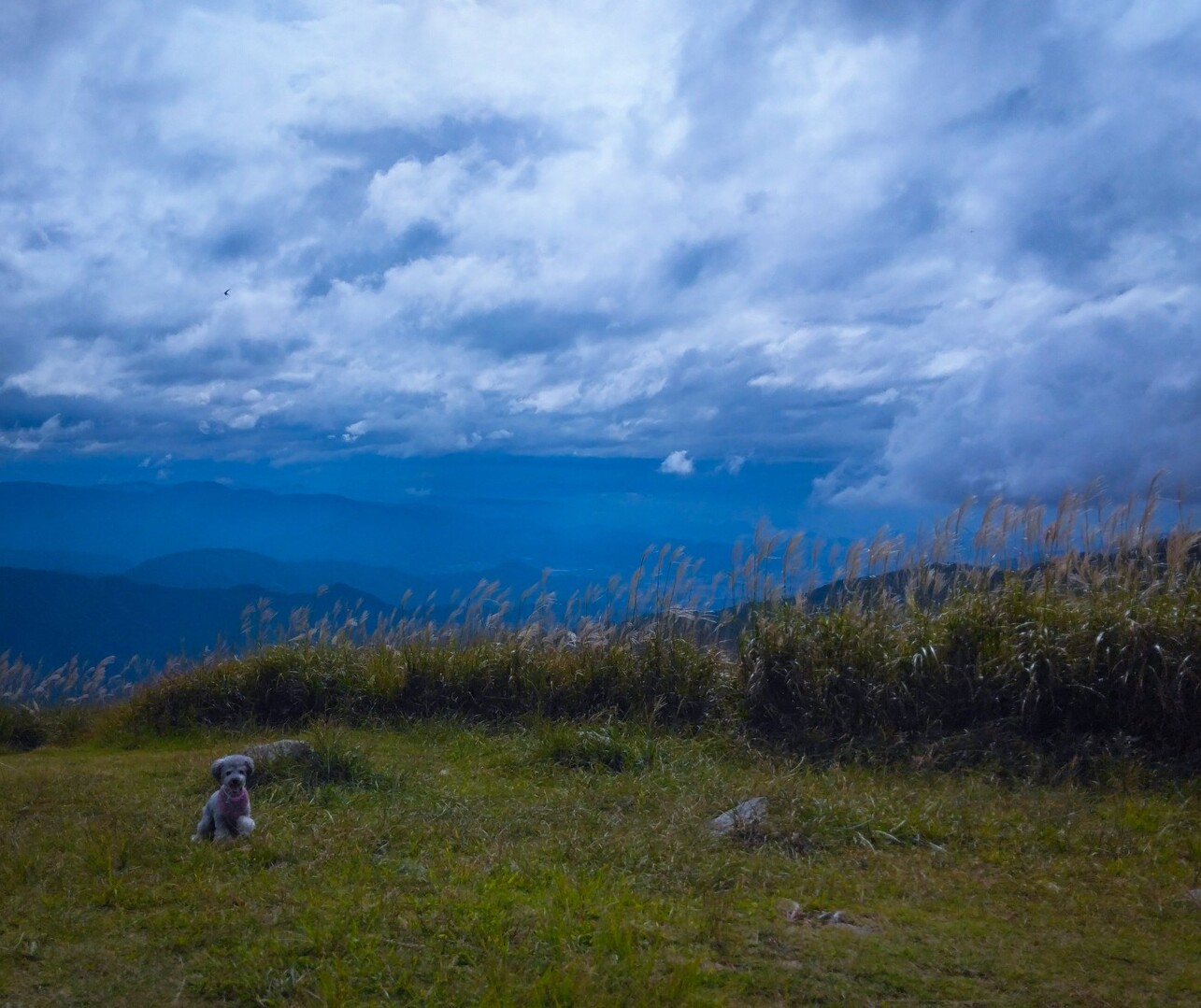 生石ヶ峰 Debut🐾 / 山Jさんのモーメント | YAMAP / ヤマップ