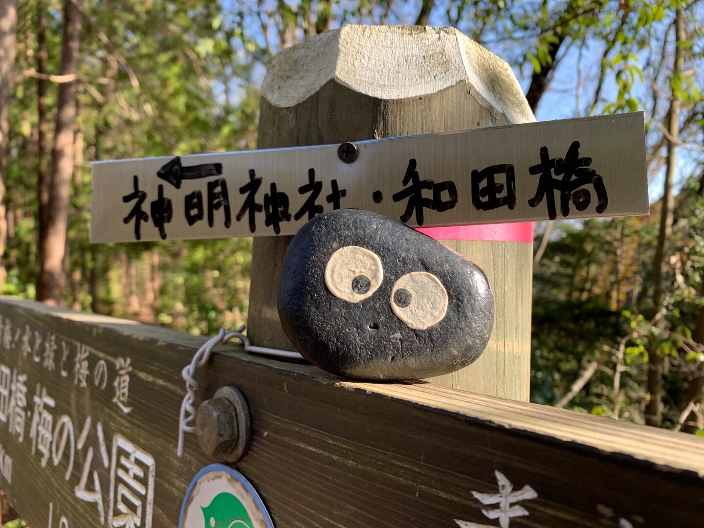 赤ぼっこ⛰ まっくろくろすけ どこ行った？ / nonnonさんの赤ぼっこの活動データ | YAMAP / ヤマップ