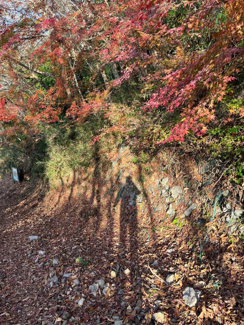 toshiのページ | YAMAP / ヤマップ