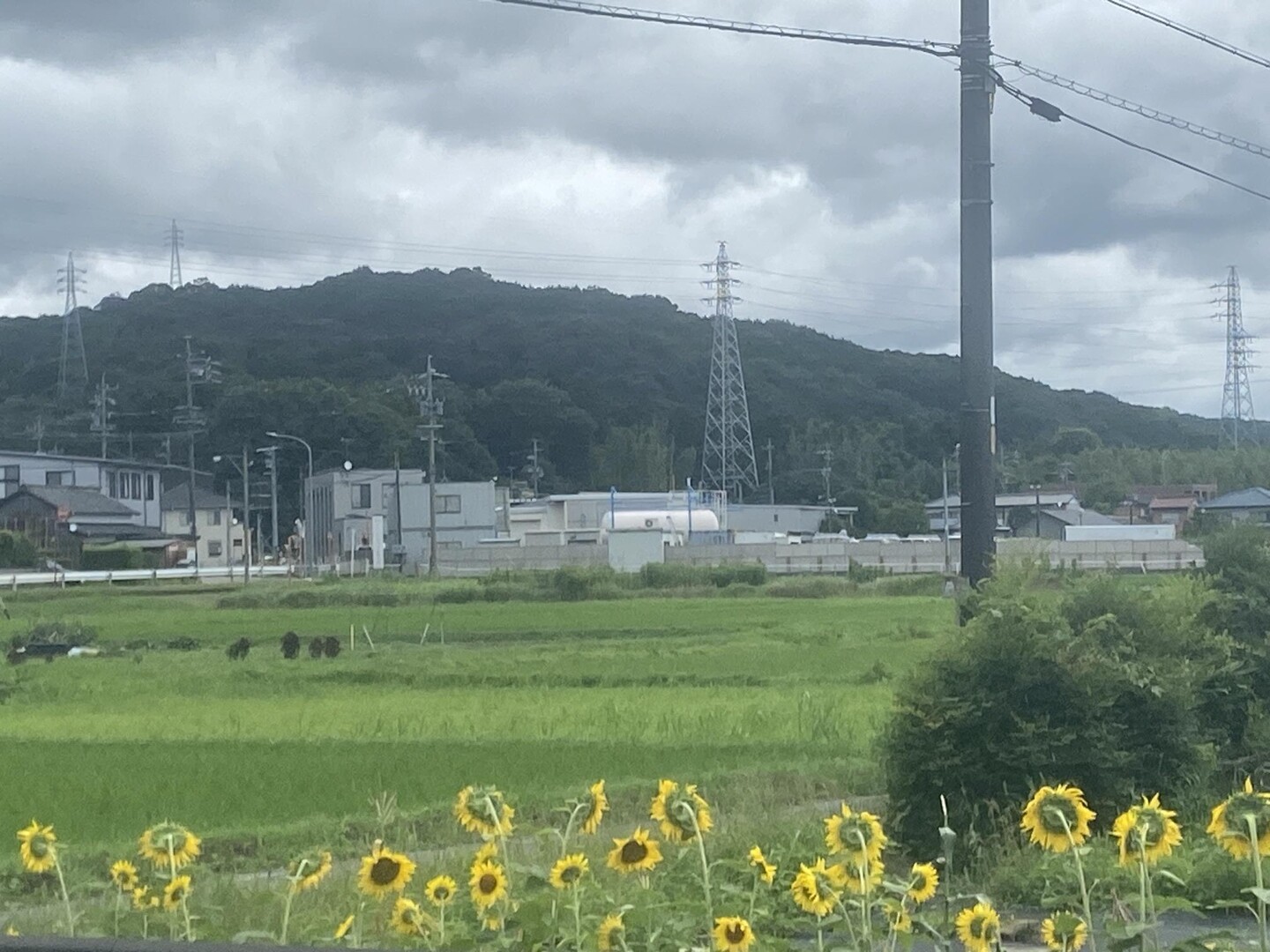 Chu ️Chu ️中総😘 / メッシさんの岡崎市の活動データ | YAMAP / ヤマップ