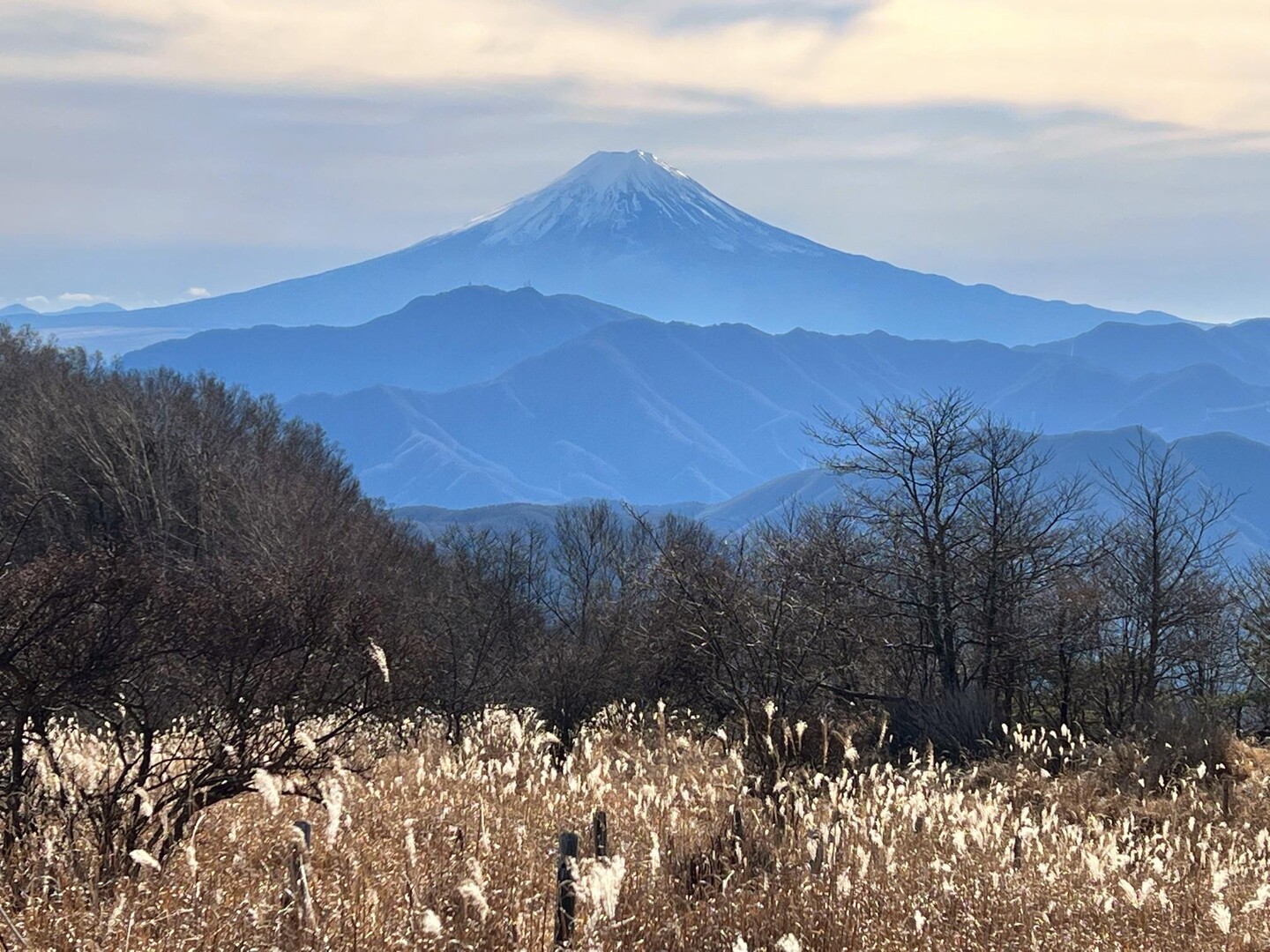 秀麗富嶽 寂悄尾根から滝子山〜大蔵高丸 / Snufkinさんの滝子山・大谷ヶ丸・笹子雁ヶ腹摺山の活動データ | YAMAP / ヤマップ