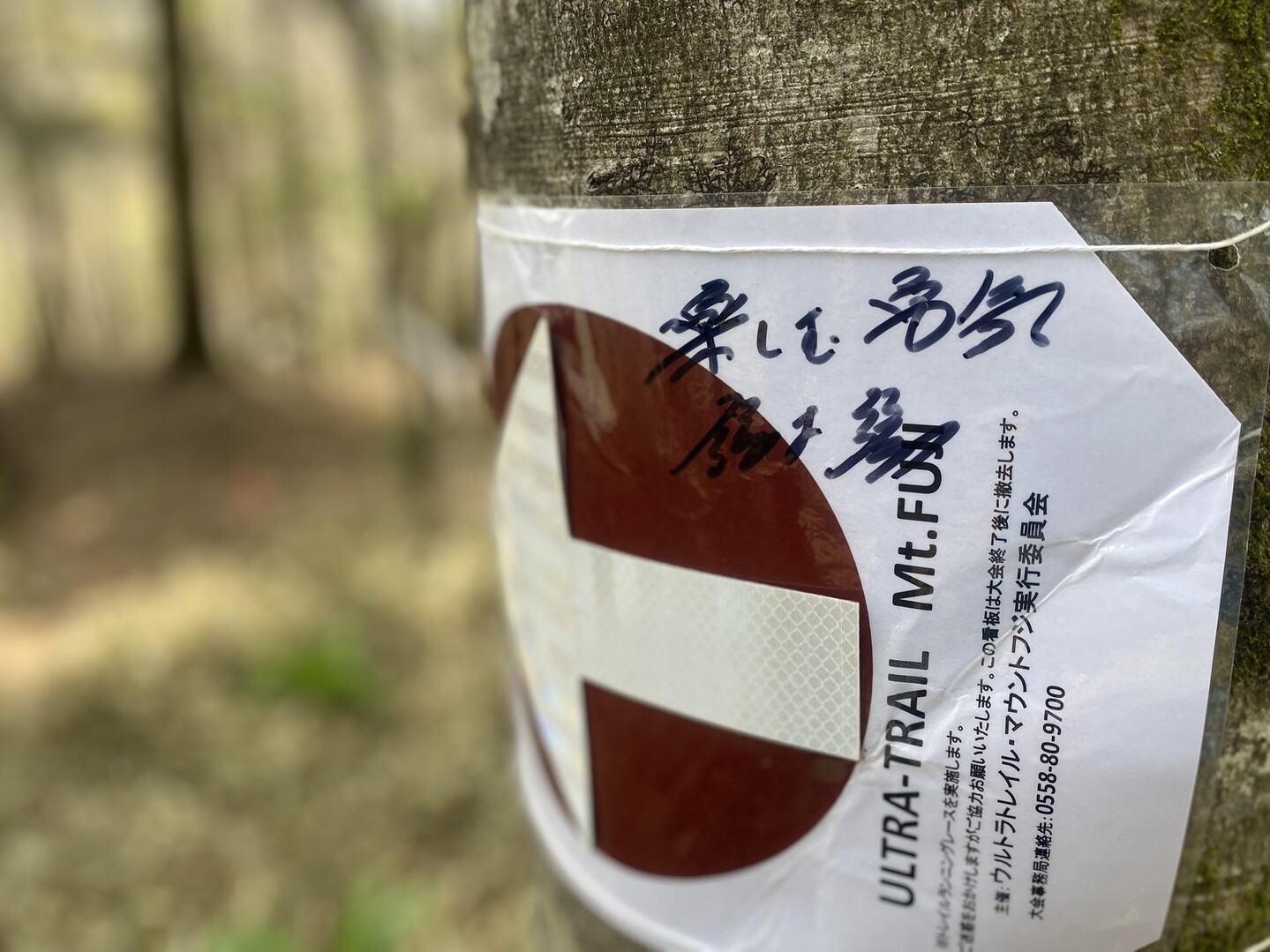 楽しむ勇気(UTMF/KAI)by鏑木毅 / ゆっちさんの御正体山・杓子山・石割山の活動データ | YAMAP / ヤマップ