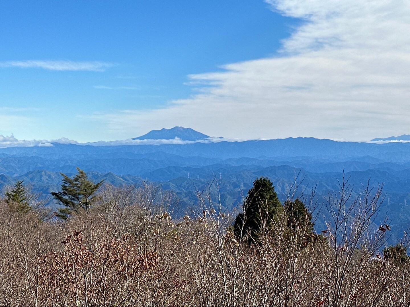 瓢ヶ岳〜今年の🍁は今ひとつ / eigoさんの高賀山・瓢ヶ岳・片知山の活動データ | YAMAP / ヤマップ