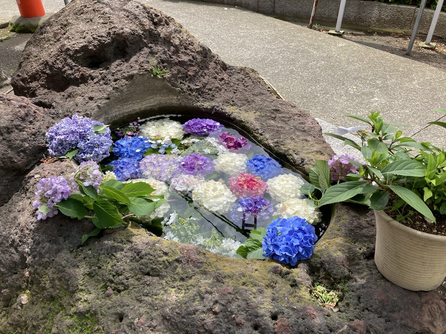 日曜日はロゲ。 前橋Pロゲ。 やっぱりロ... / cherry4121さんのモーメント | YAMAP / ヤマップ