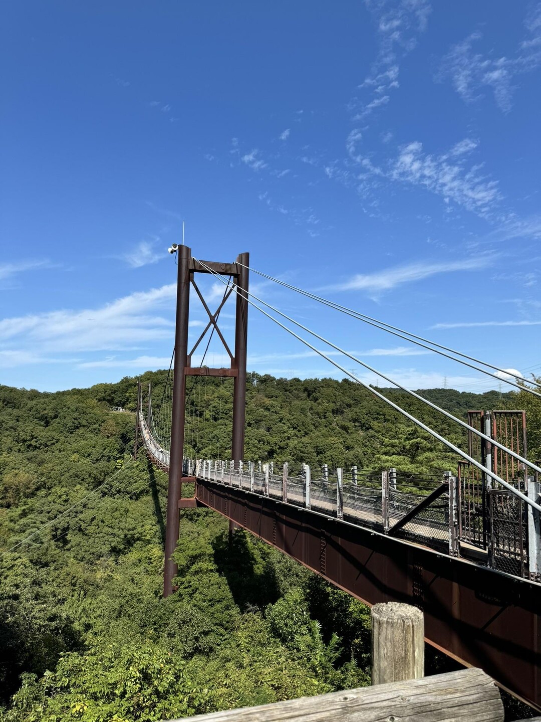 かなり お久しぶり😅 / emiyさんの交野山・国見山の活動データ | YAMAP / ヤマップ
