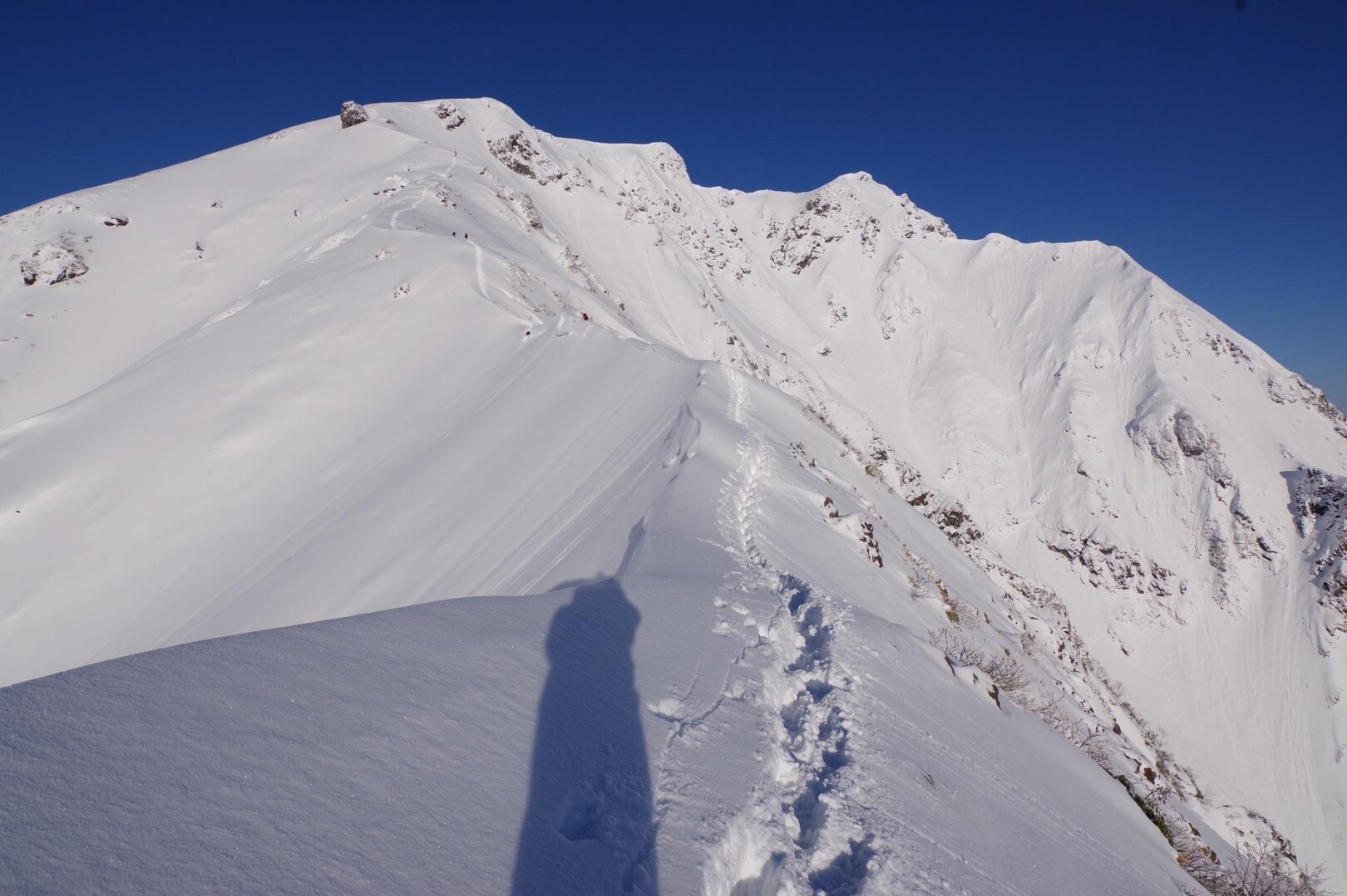谷川岳（トマの耳） / yu_ki_ik_uyさんの谷川岳・七ツ小屋山・大源太山の活動データ | YAMAP / ヤマップ