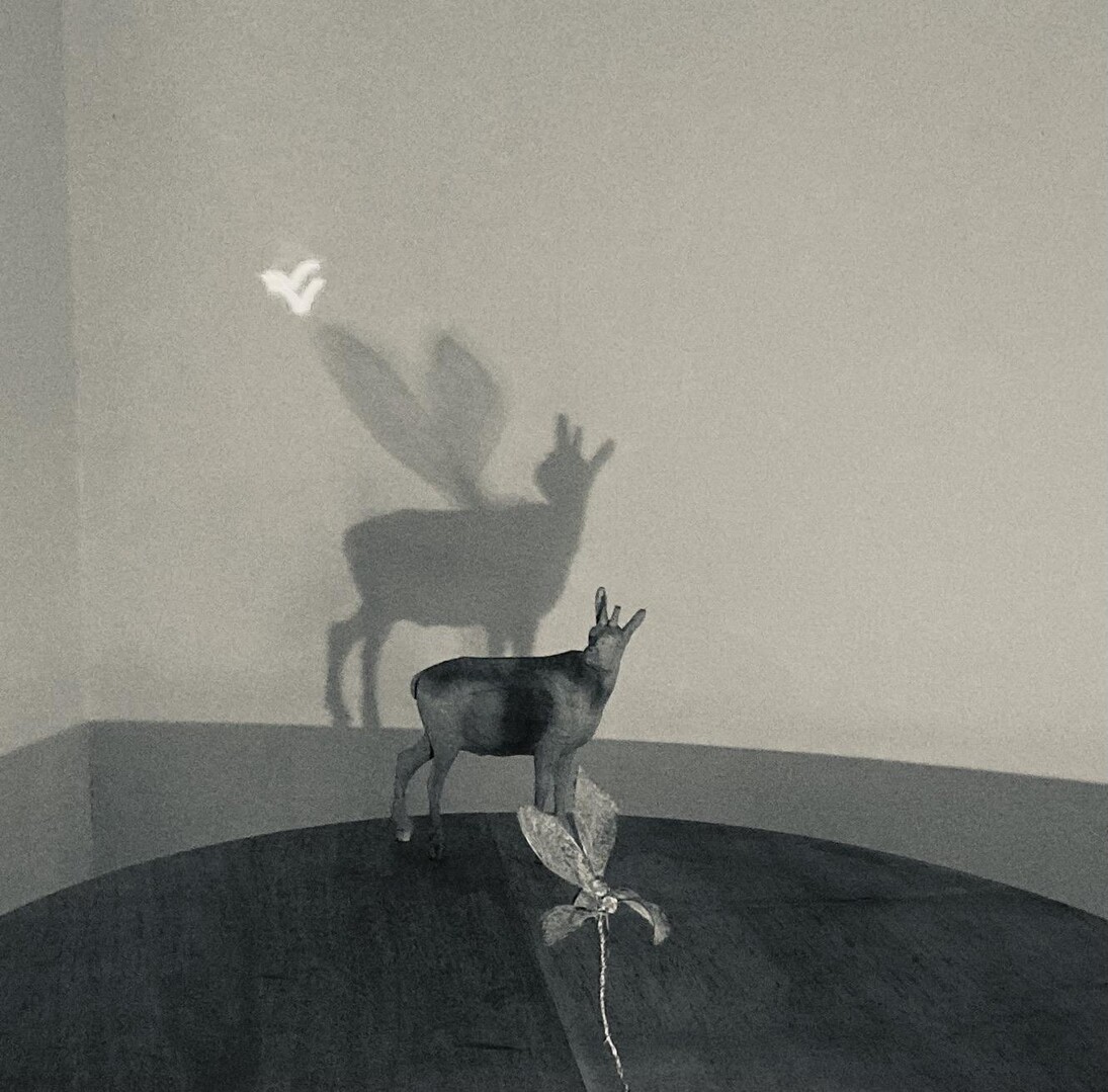 【TOKYO ARTSCAPES 202... / Ok-836さんのモーメント | YAMAP / ヤマップ