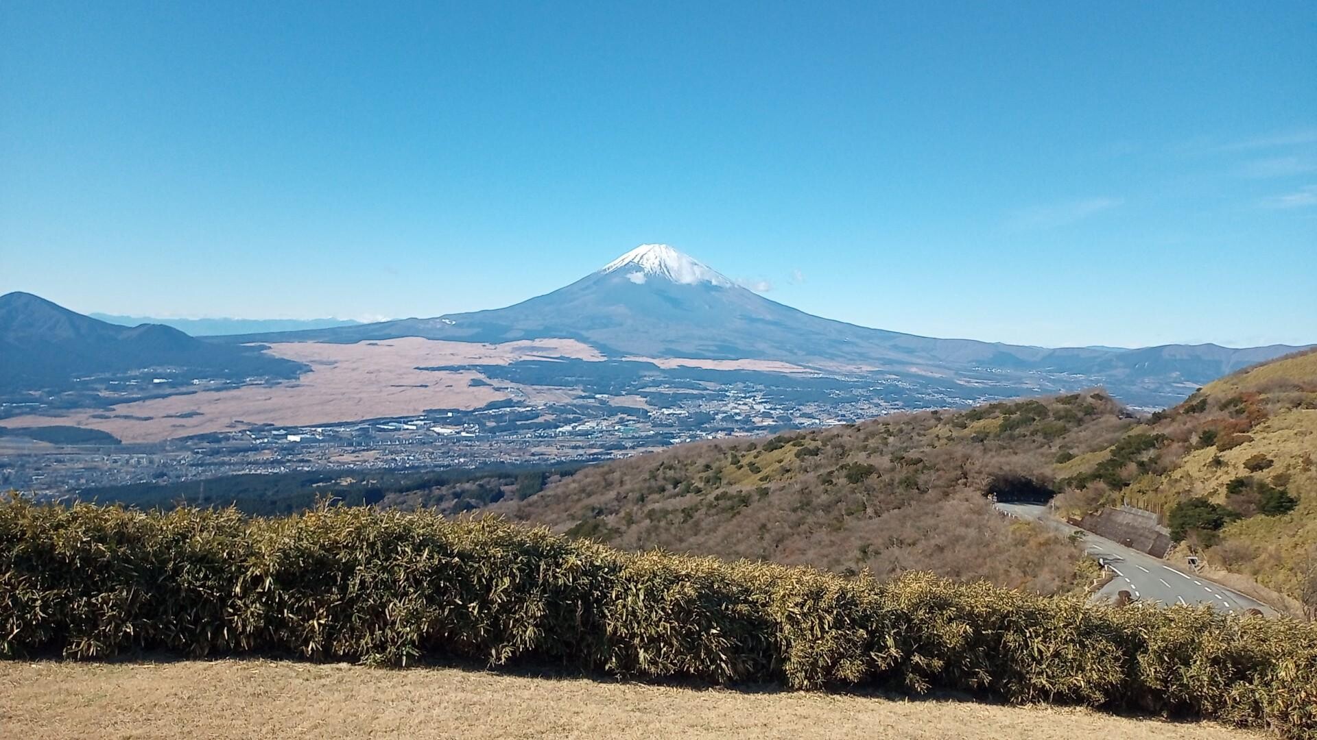 Guy-Leeeeean!!! / ユージさんの箱根山・神山の活動データ | YAMAP / ヤマップ