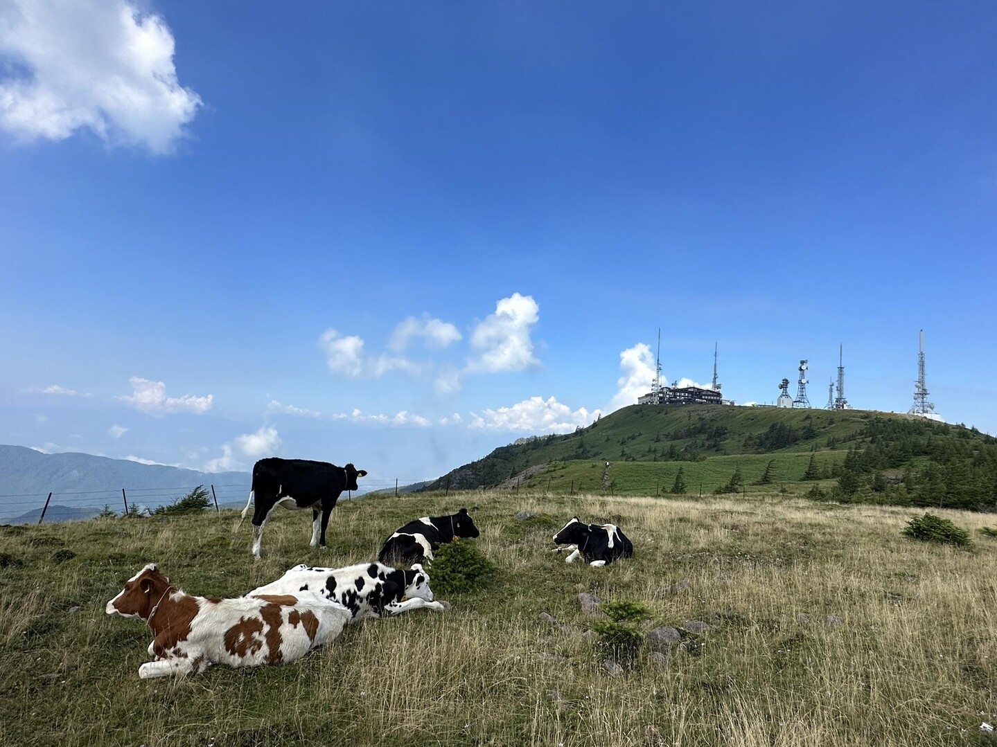 牛伏山・美ヶ原（王ヶ頭）・王ヶ鼻 / ayakaさんの美ヶ原の活動データ | YAMAP / ヤマップ