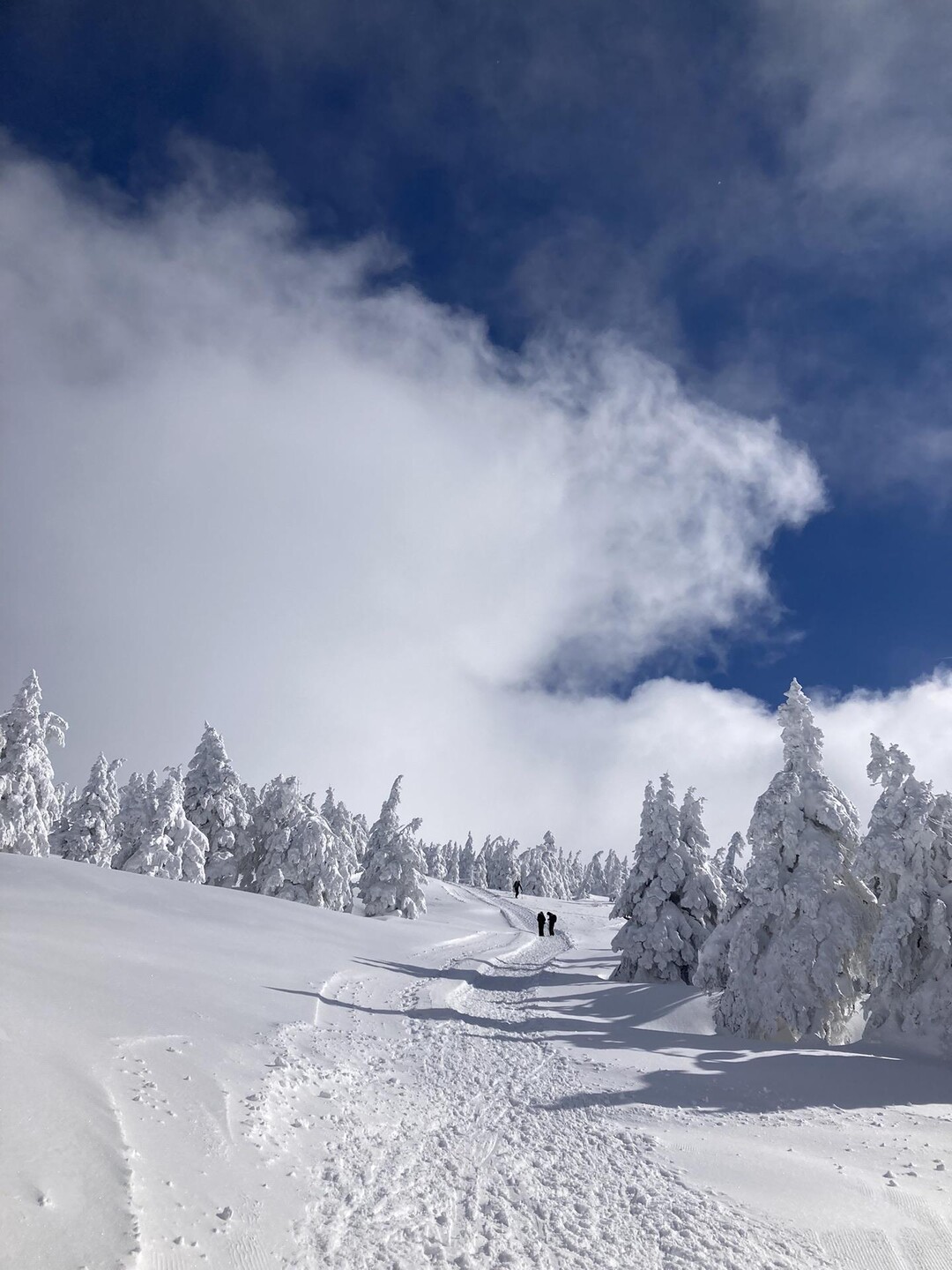 刈田岳目指すも撤退🌀 / mierinさんの蔵王山・雁戸山・不忘山の活動データ | YAMAP / ヤマップ