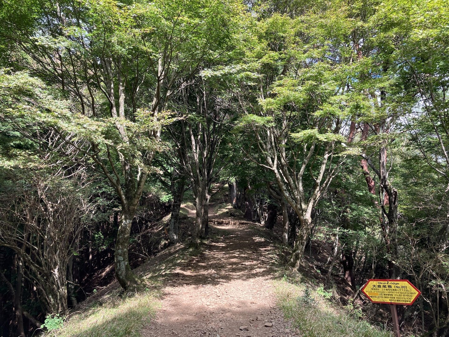 堀山・塔ノ岳 / Ok-836さんの塔ノ岳・丹沢山・蛭ヶ岳の活動データ | YAMAP / ヤマップ