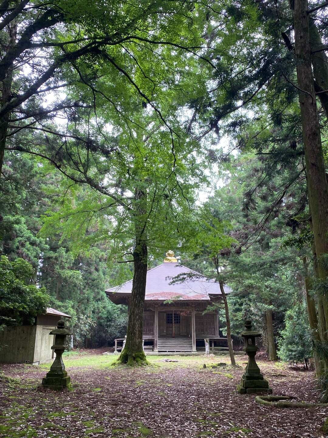 羽束山 / kemaさんの羽束山の活動データ | YAMAP / ヤマップ