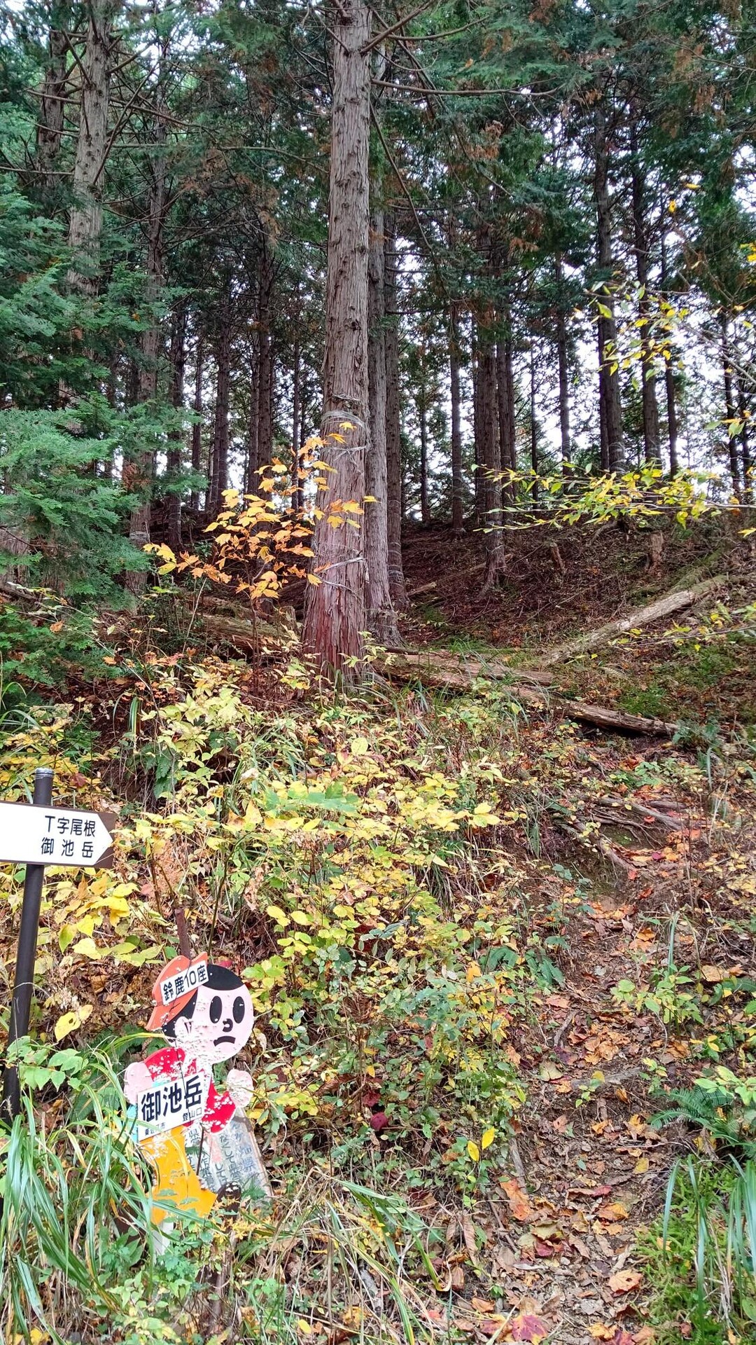 土倉岳 / guriko5さんの天狗堂の活動データ | YAMAP / ヤマップ