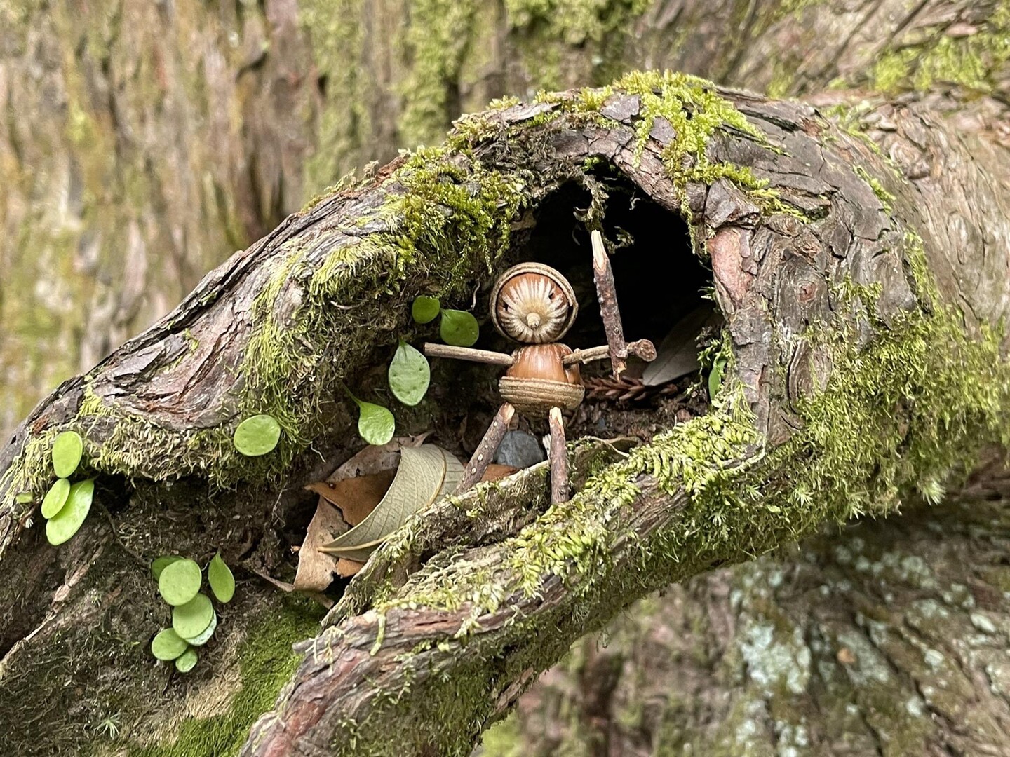 行縢山⛰️ / AnKemiさんの行縢山の活動データ | YAMAP / ヤマップ