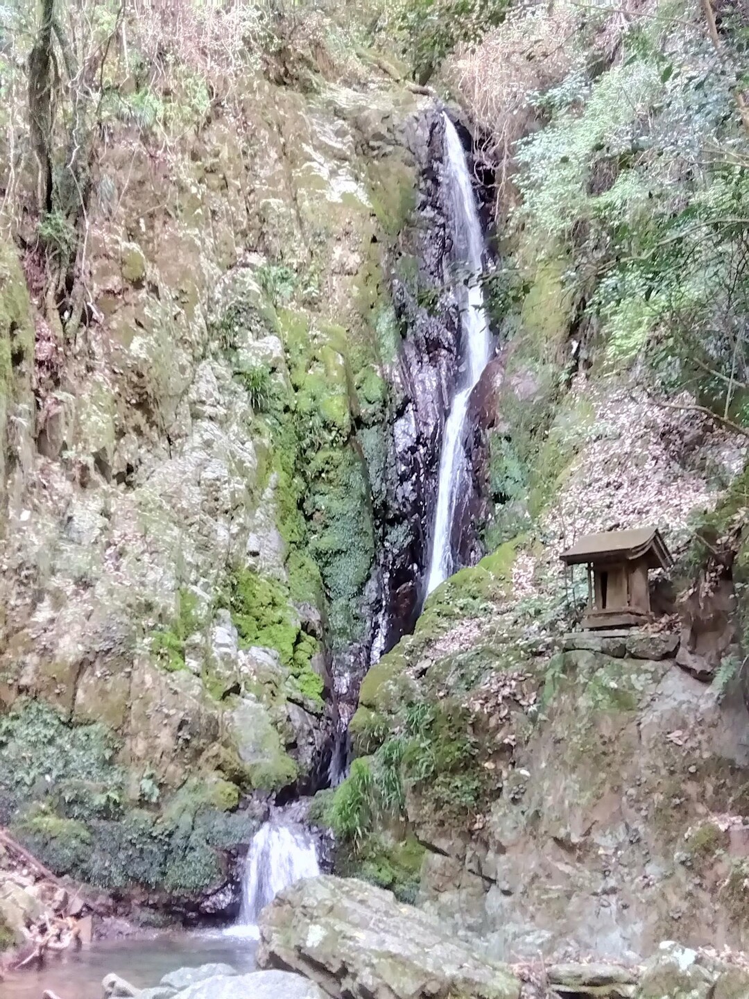 山崎町の国見山登りました。山の写真撮るの... / かずゆきさんのモーメント | YAMAP / ヤマップ