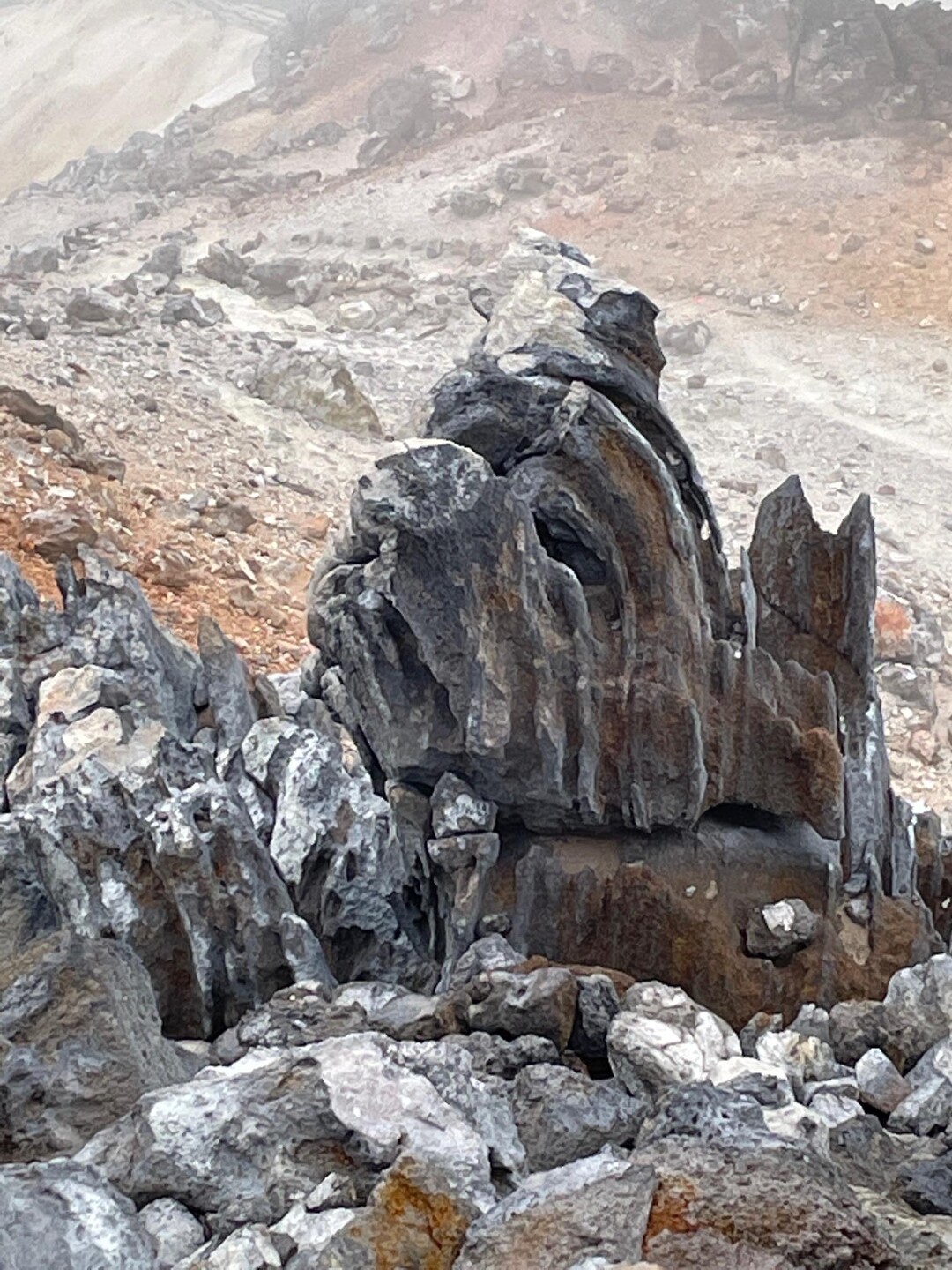 左…犬に見えたんですがァー🤣 右…真ん... / よっしー3110さんのモーメント | YAMAP / ヤマップ