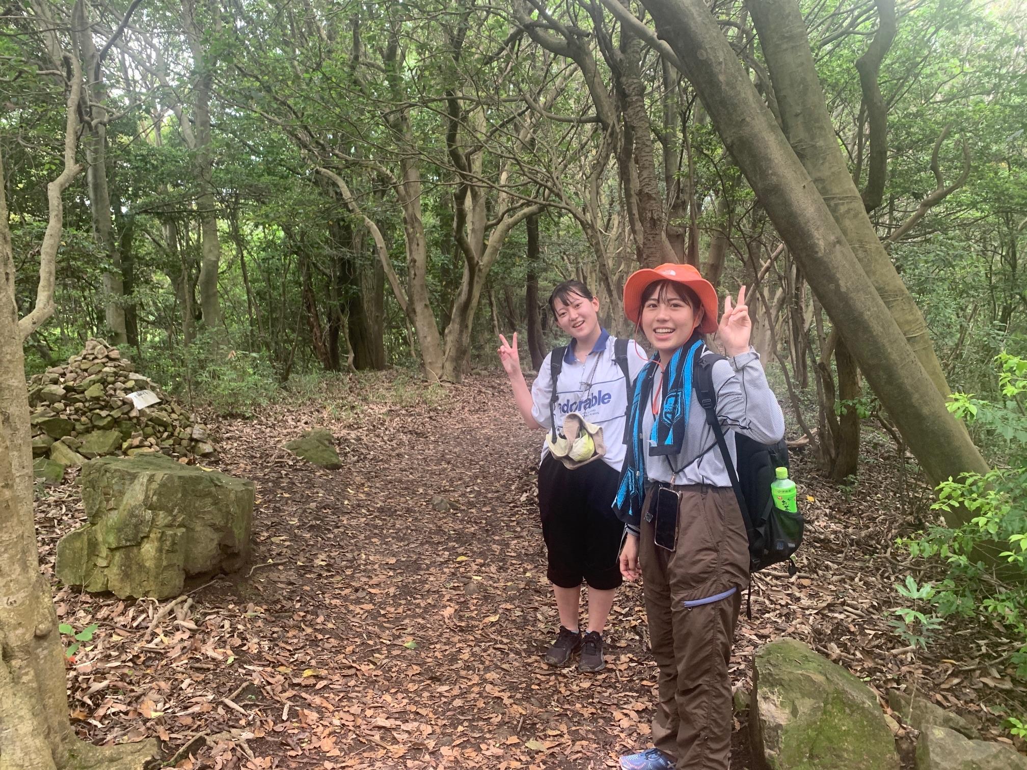 龍ノ口山 / kinocoさんの龍ノ口山の活動データ | YAMAP / ヤマップ