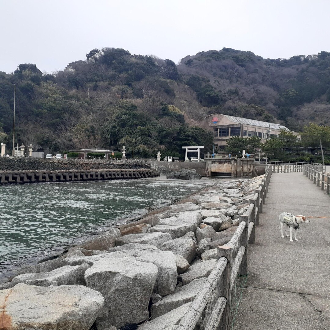 伊勢二見の音無山 前回は2023-9-2... / たくさんのモーメント | YAMAP / ヤマップ