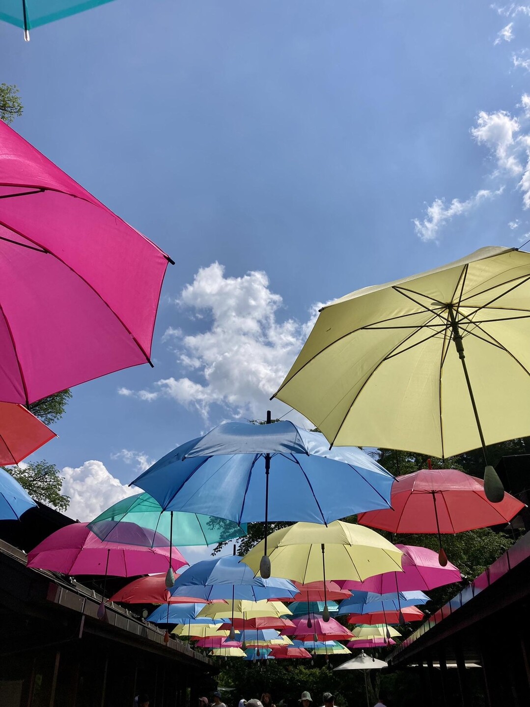 ハルニレテラスにて、、 梅雨時なのによい... / Ozanさんのモーメント | YAMAP / ヤマップ