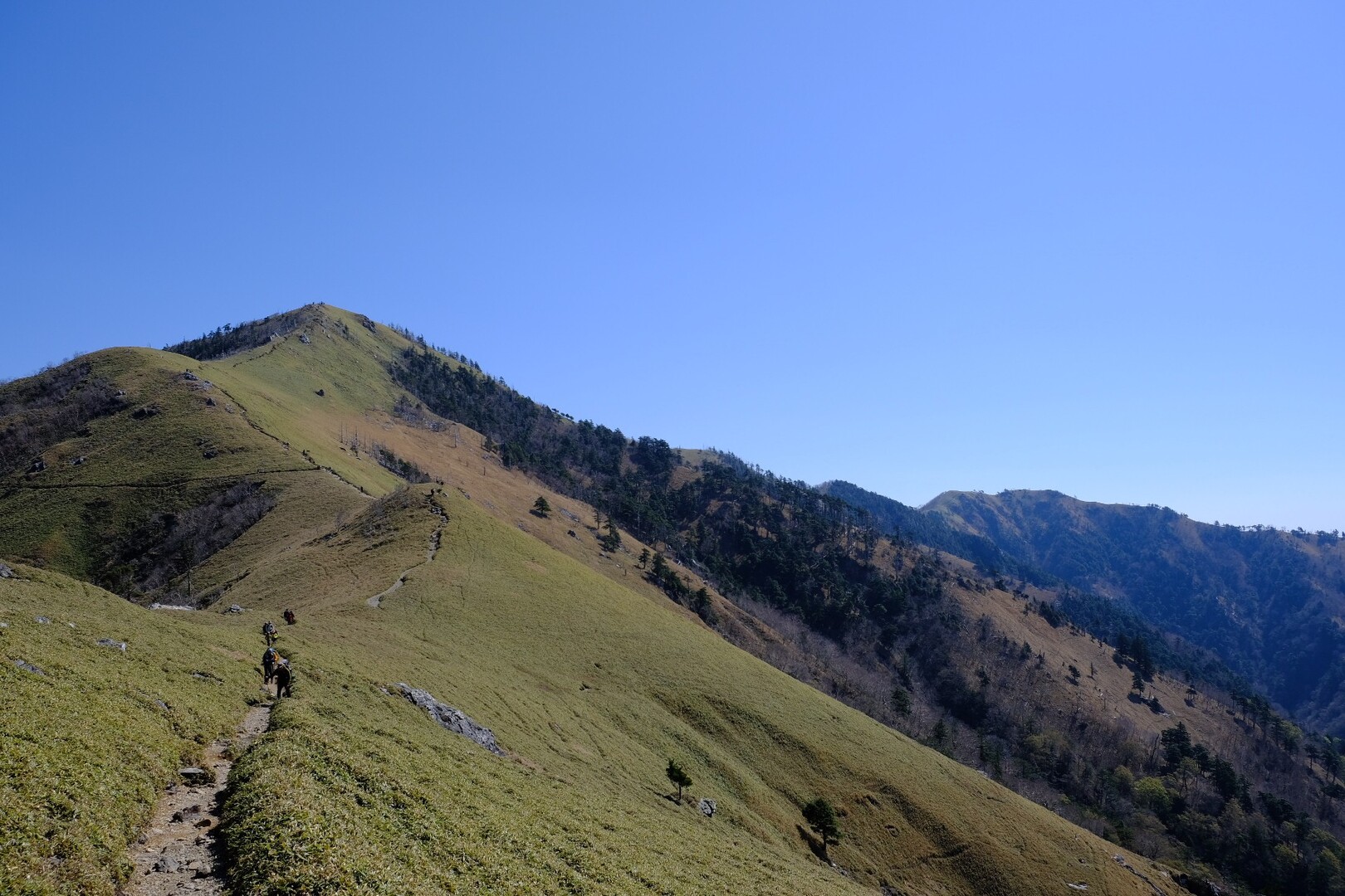 太郎＆次郎 兄弟笈😆 本日5/3 GW... / スローライフさんのモーメント | YAMAP / ヤマップ