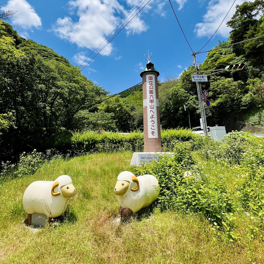 アイスロード→シュラインロード / ハム子さんの六甲山・長峰山・摩耶山の活動データ | YAMAP / ヤマップ