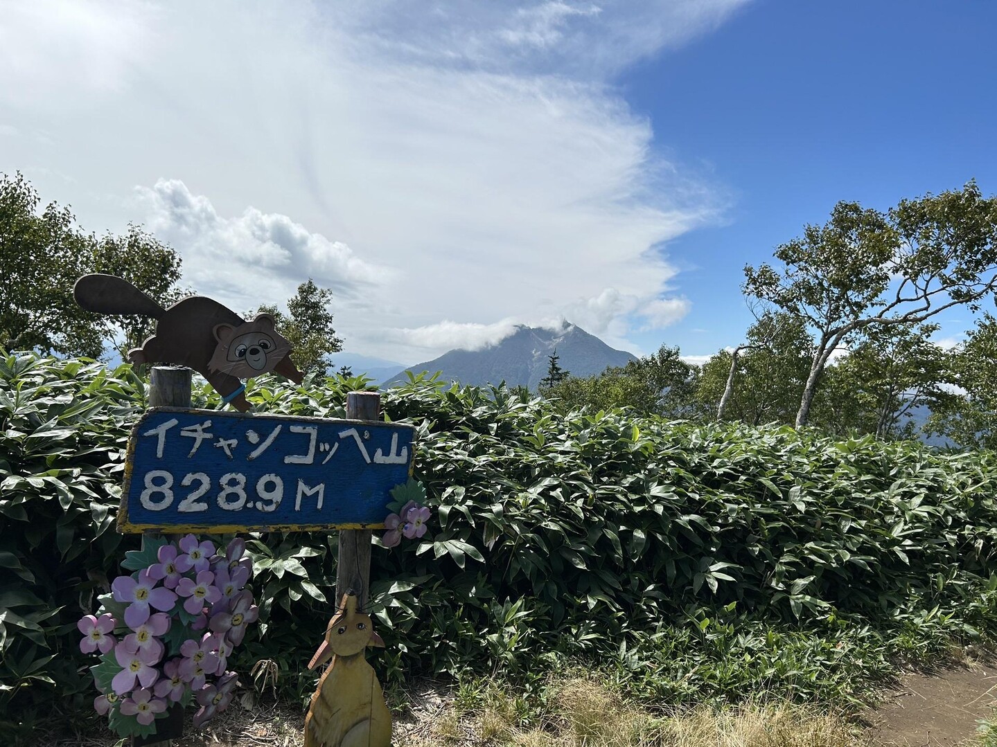 イチャンコッペ山-1 / yuki_iroさんのイチャンコッペ山の活動データ | YAMAP / ヤマップ