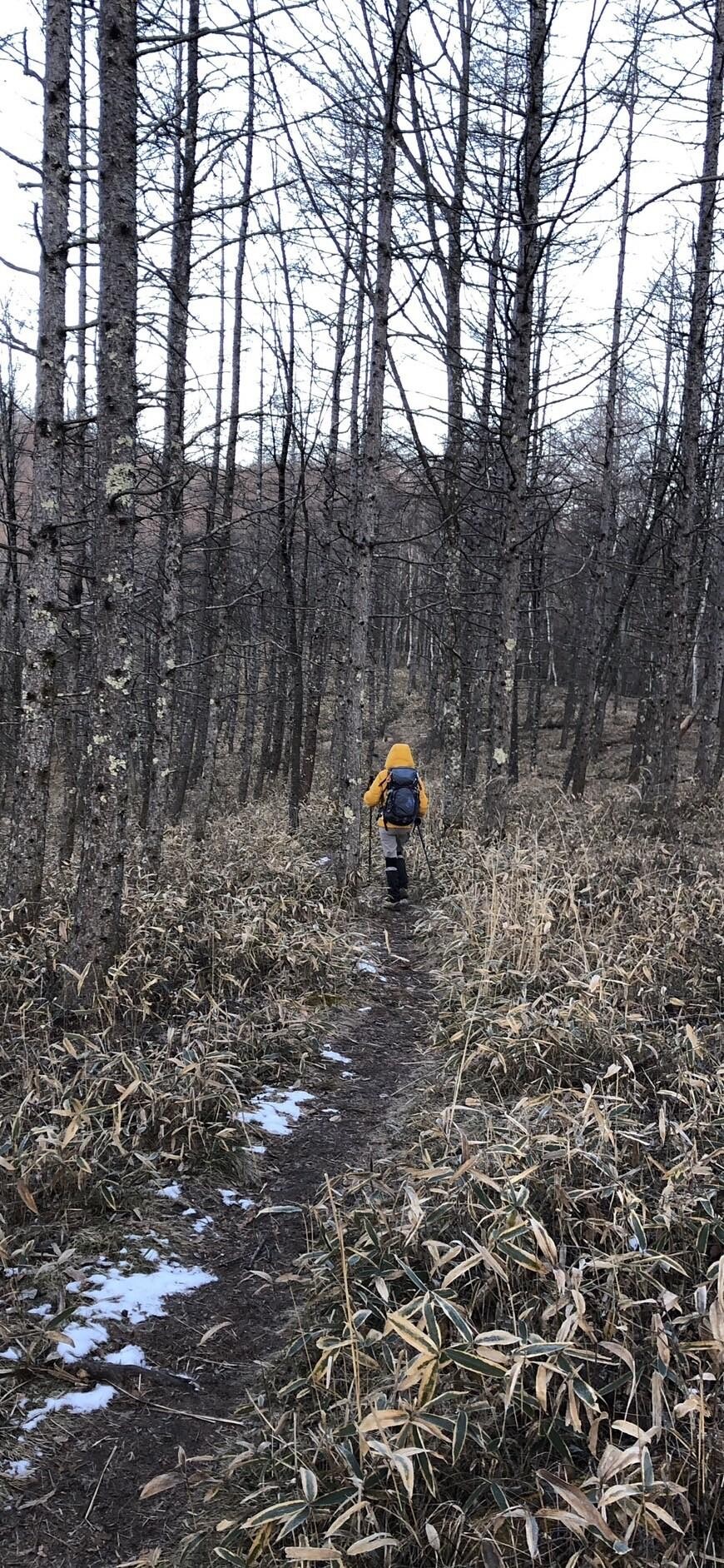山旅スタート(*^o^)／\(^-^*)... / konkyunさんのモーメント | YAMAP / ヤマップ