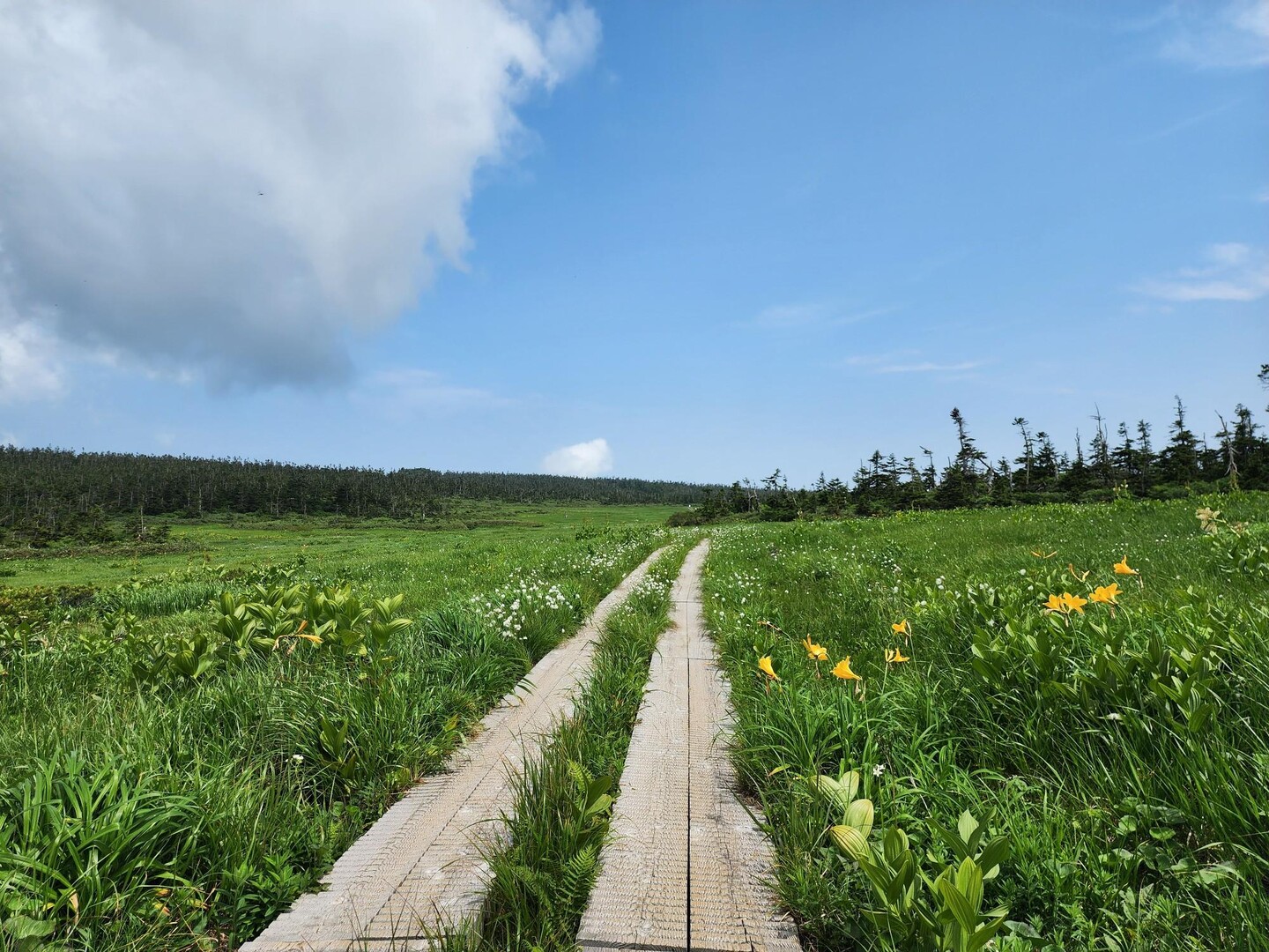 東北遠征DAY2 棚ぼた八幡平歩き / Kombatさんの八幡平・源太森・安比岳の活動データ | YAMAP / ヤマップ