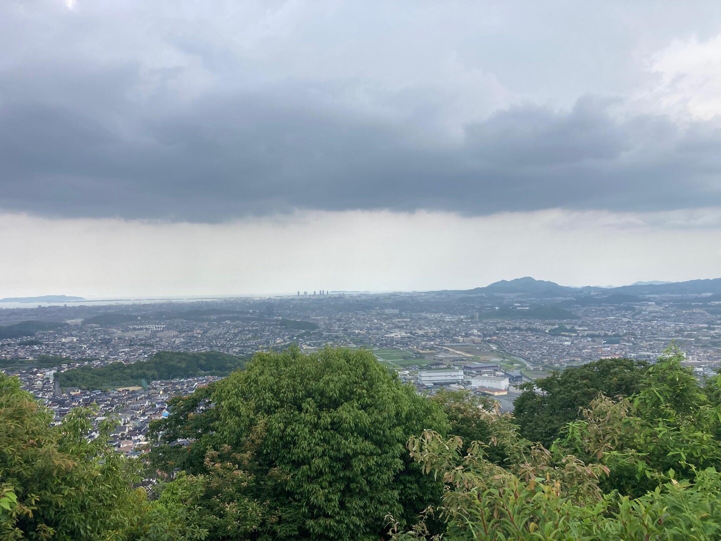 初 ️井野山へ🤩ニョロも🐍 / ozumaさんの井野山の活動データ | YAMAP / ヤマップ