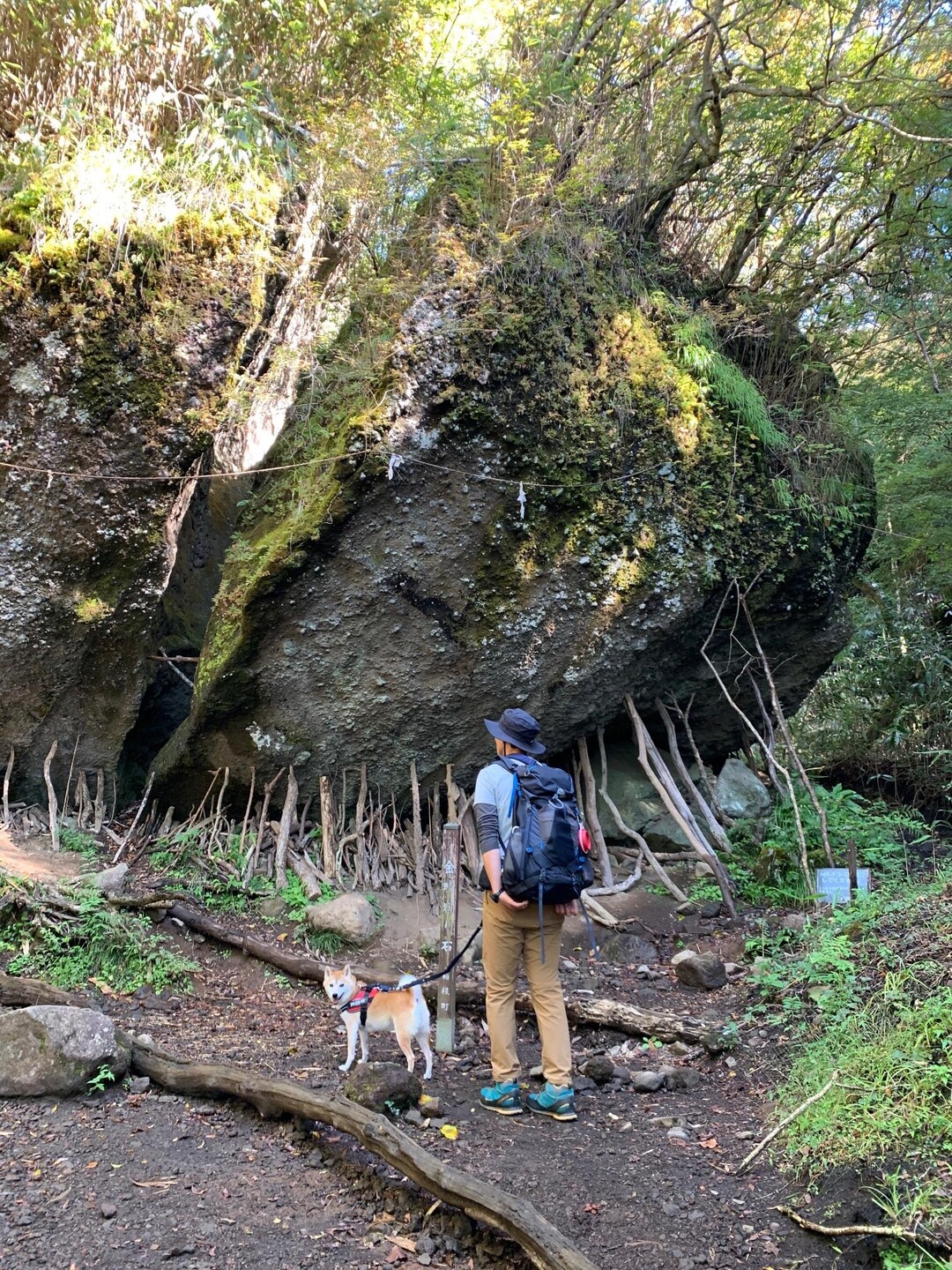金時山 / ・p_natsu さんの金時山・明神ヶ岳の活動データ | YAMAP / ヤマップ