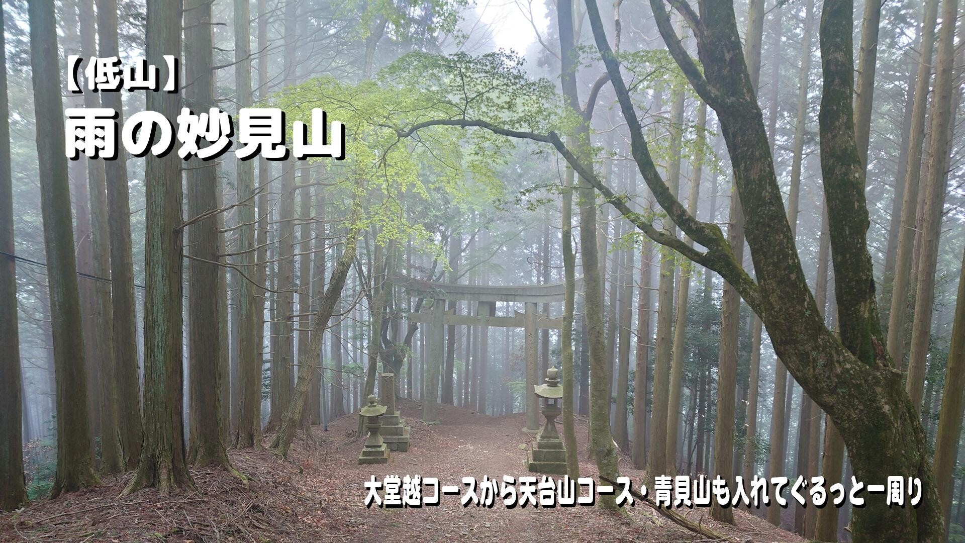 Youtube[https://yout... / StrayCatさんのモーメント | YAMAP / ヤマップ