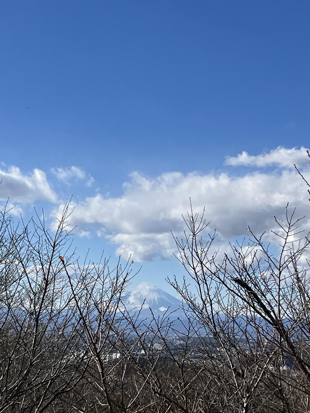 横浜&鎌倉最高峰登頂！ 港南台 ︎ 大船 ︎ ♨️＆🍻 / Yujicさんの鎌倉アルプス（大平山・天台山）の活動データ | YAMAP / ヤマップ