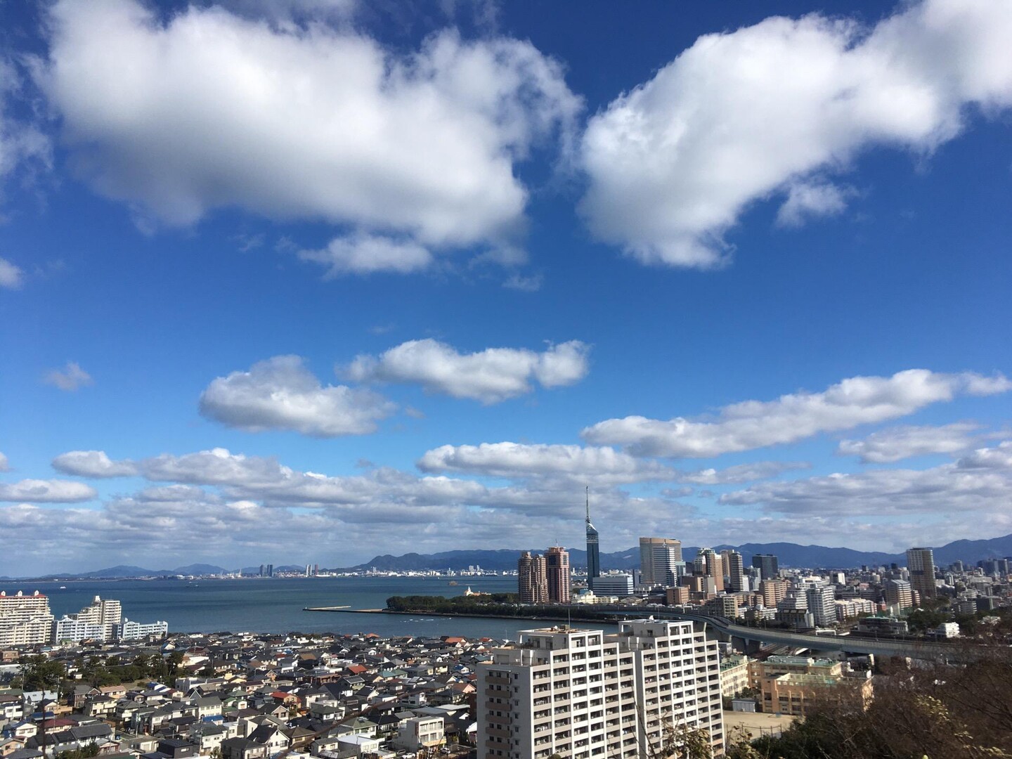 愛宕山(愛宕神社⛩) / YASさんの【公式】福岡市（防災情報含む）の活動データ | YAMAP / ヤマップ