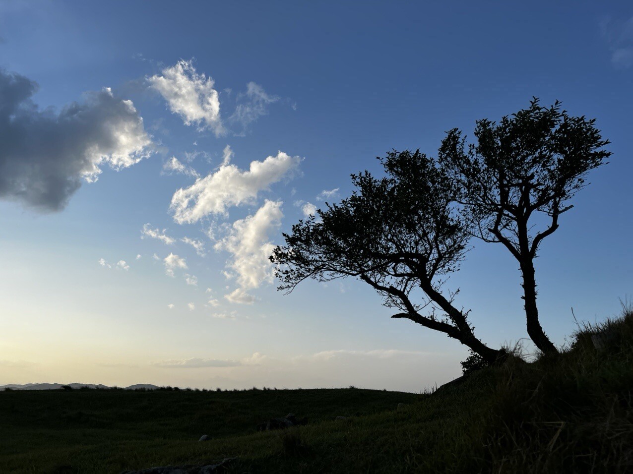 笹子山・経ヶ峰北峰・経ヶ峰・稲子山南峰・稲子山 / neko☆🐻さんの経ヶ峰の活動データ | YAMAP / ヤマップ