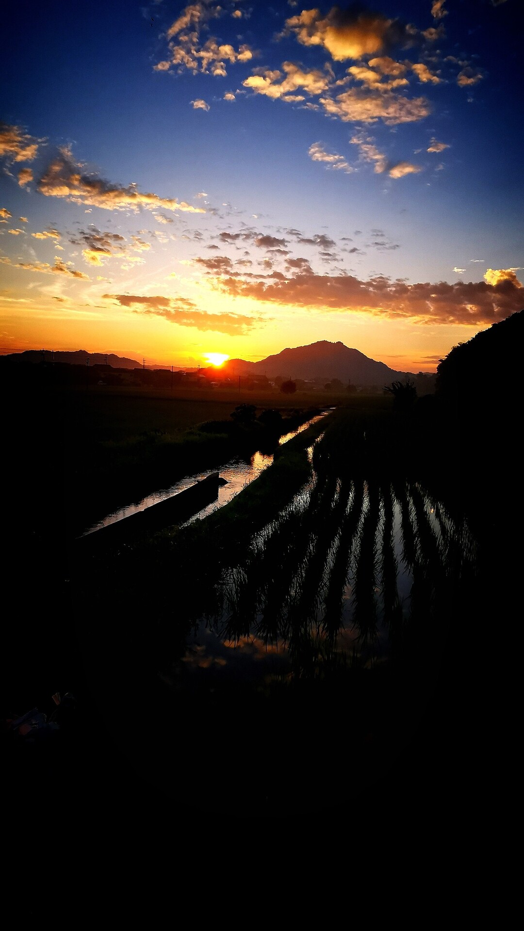 Sunrise after the ra... / YAMA由さんのモーメント | YAMAP / ヤマップ