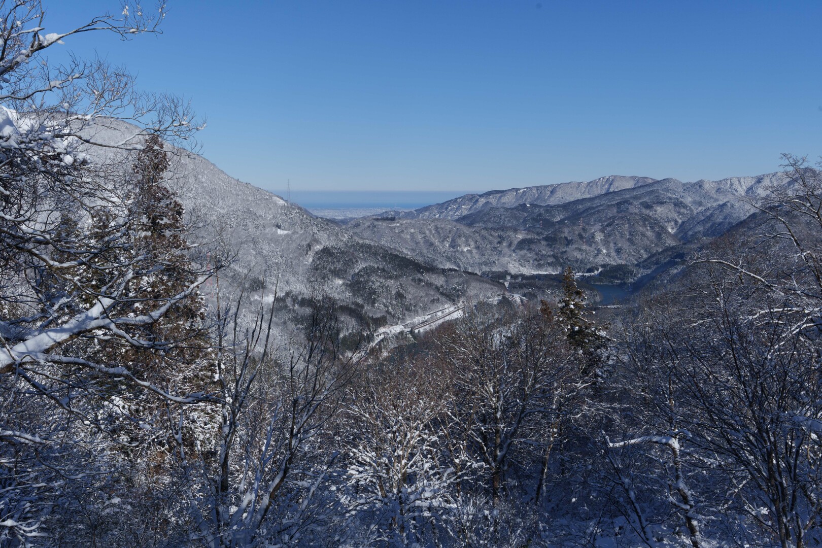 大高山敗退・・・ / Yoshio_KSKさんの唐堀山の活動データ | YAMAP / ヤマップ