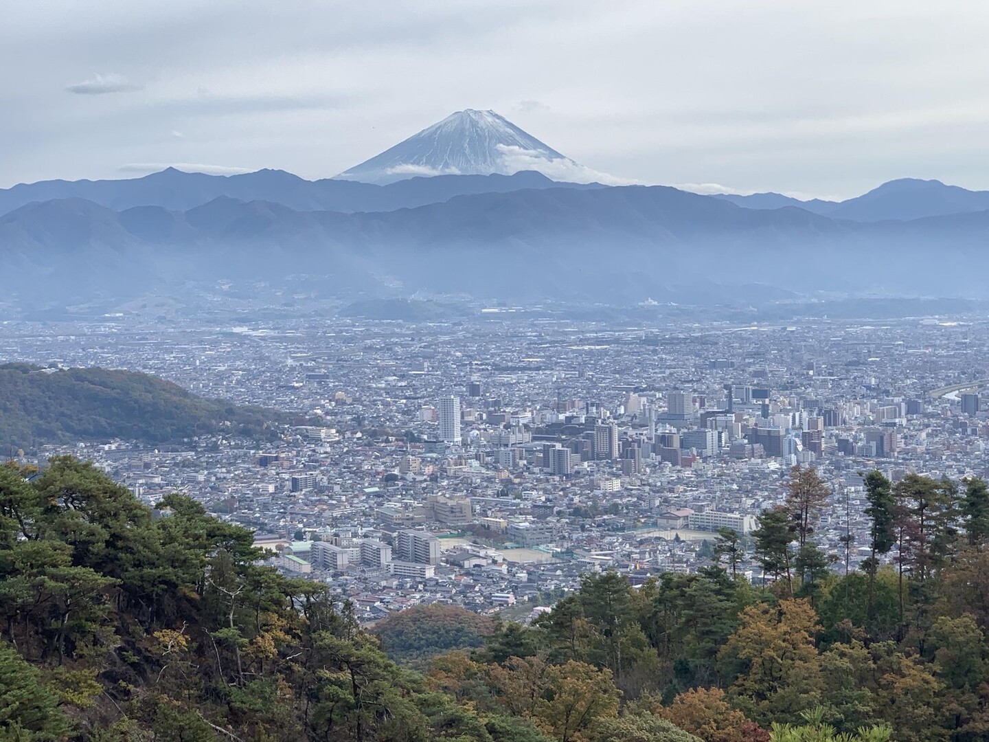 R5.11.16② 湯村山・法泉寺山・八王子山（白山） / あおかつさんの興因寺山・淡雪山・八王子山の活動データ | YAMAP / ヤマップ