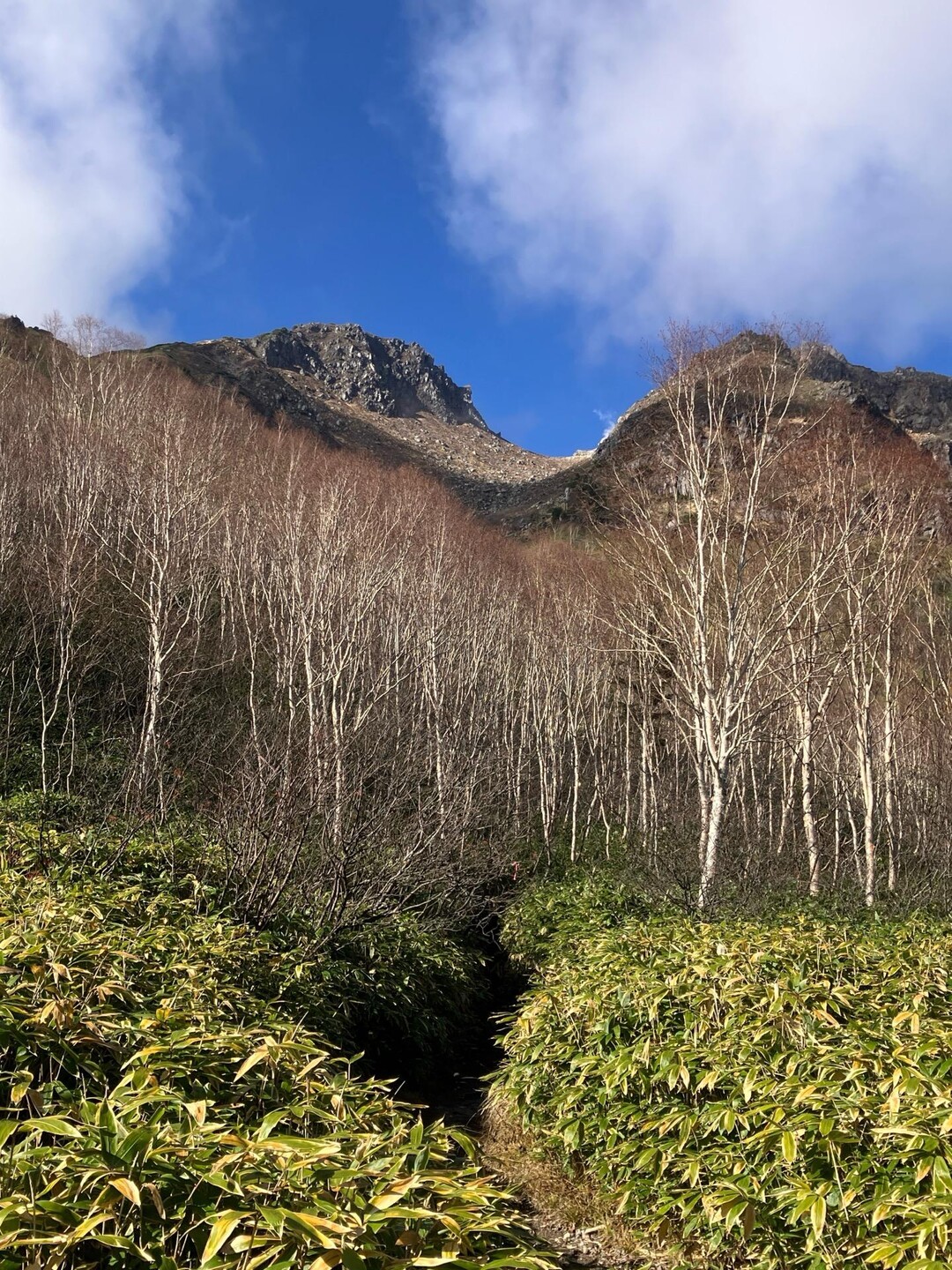 焼岳（北峰） / CPさんの槍ヶ岳・穂高岳・上高地の活動データ | YAMAP / ヤマップ