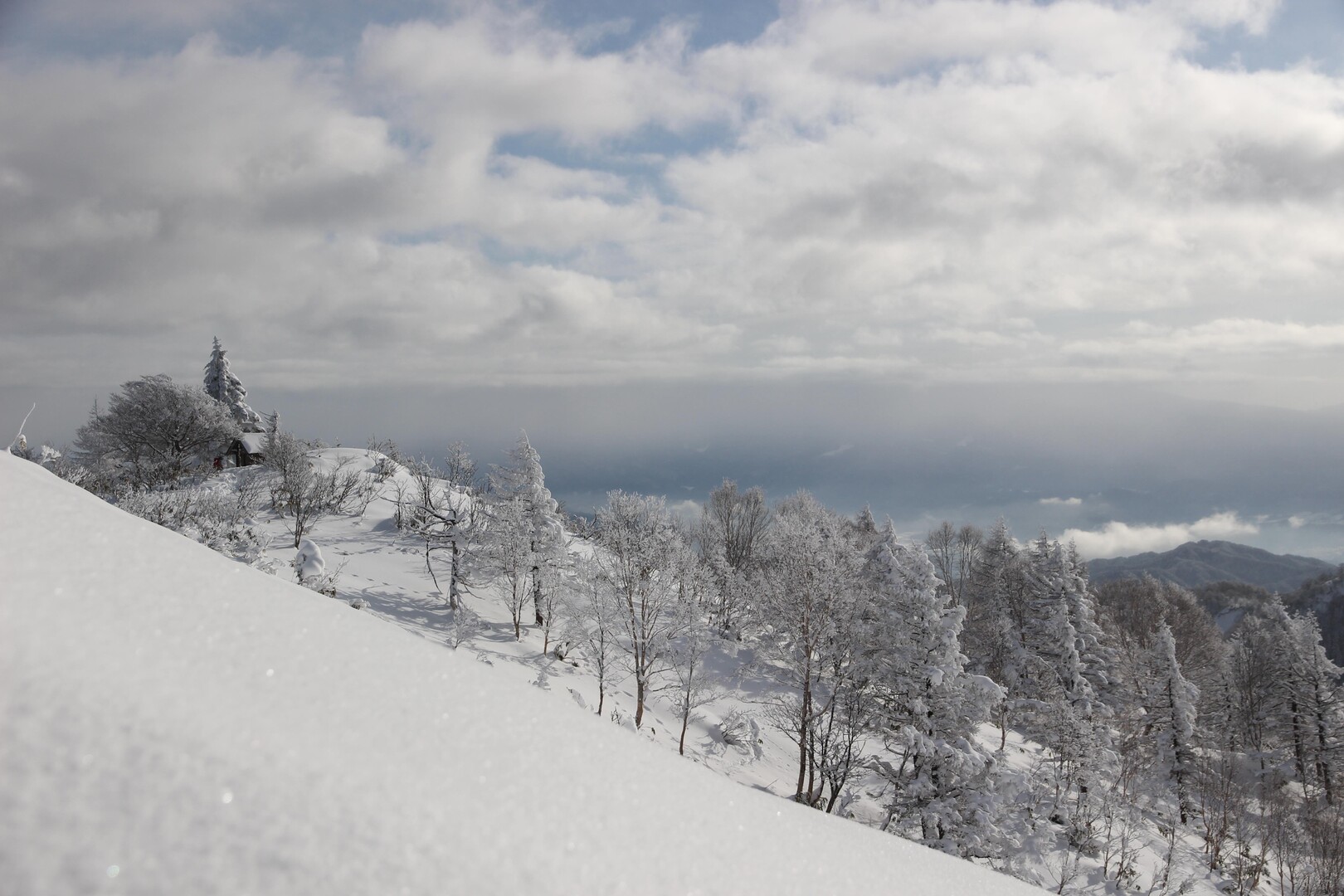 猪臥山 / YYさんの猪臥山の活動データ | YAMAP / ヤマップ