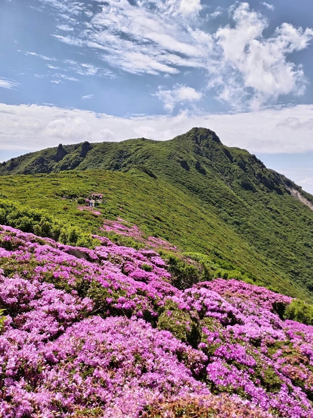 北大船山・大船山 / SG-FRさんの九重山（久住山）・大船山・星生山の活動データ | YAMAP / ヤマップ