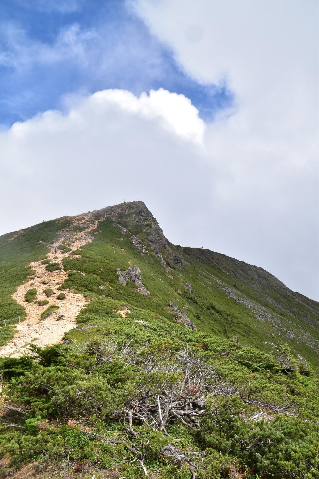 西天狗岳・東天狗岳 / Morryさんの八ヶ岳（赤岳・硫黄岳・天狗岳）の活動データ | YAMAP / ヤマップ
