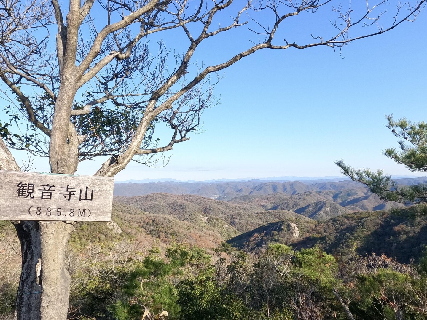 ITJまで1週間｡ 観音寺山は落葉だらけ🍂 / ダイさんさんの観音寺山の活動データ | YAMAP / ヤマップ