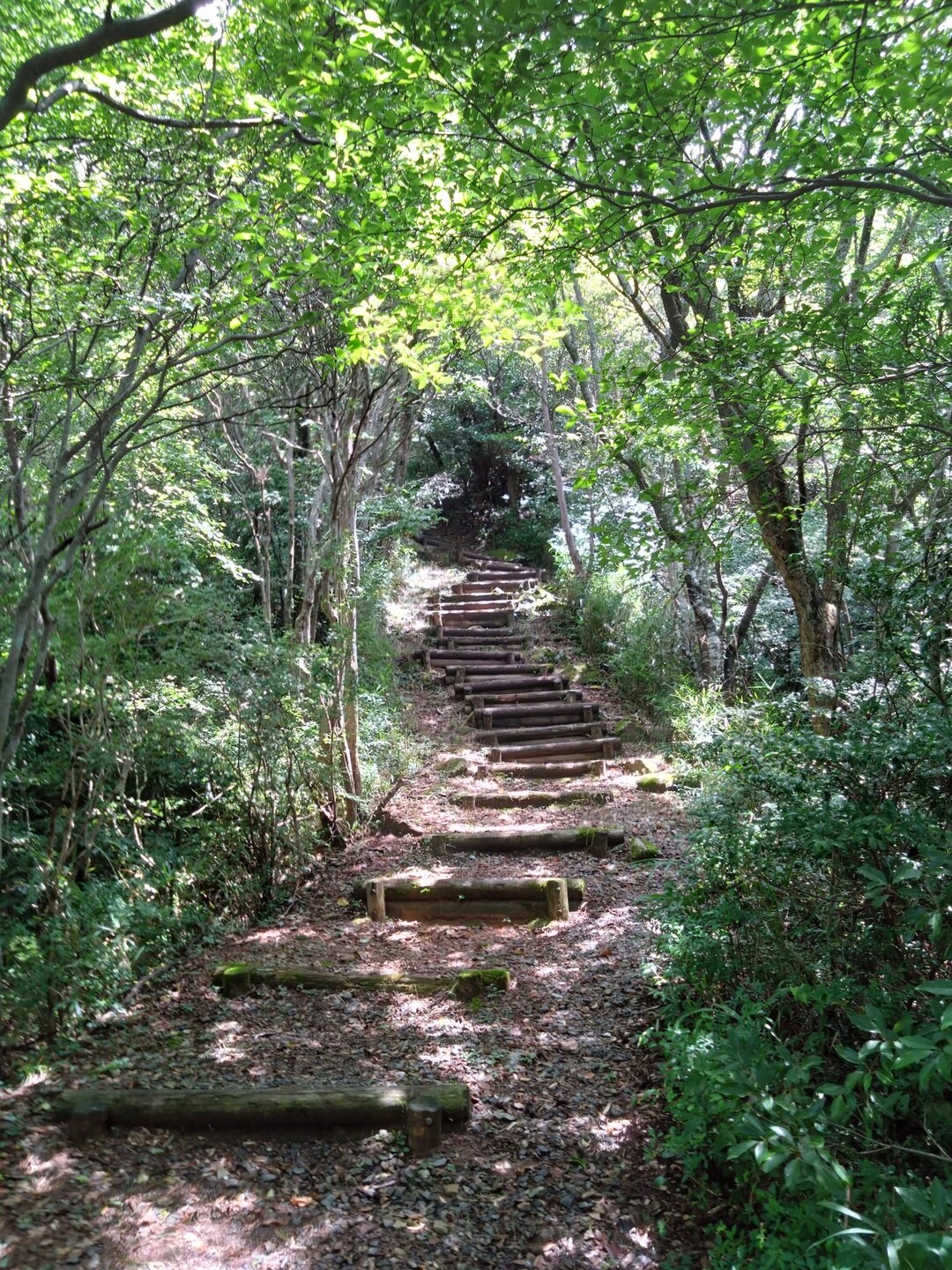 東鳳翩山 / showさんの東鳳翩山・西鳳翩山・鴻ノ峰の活動データ | YAMAP / ヤマップ