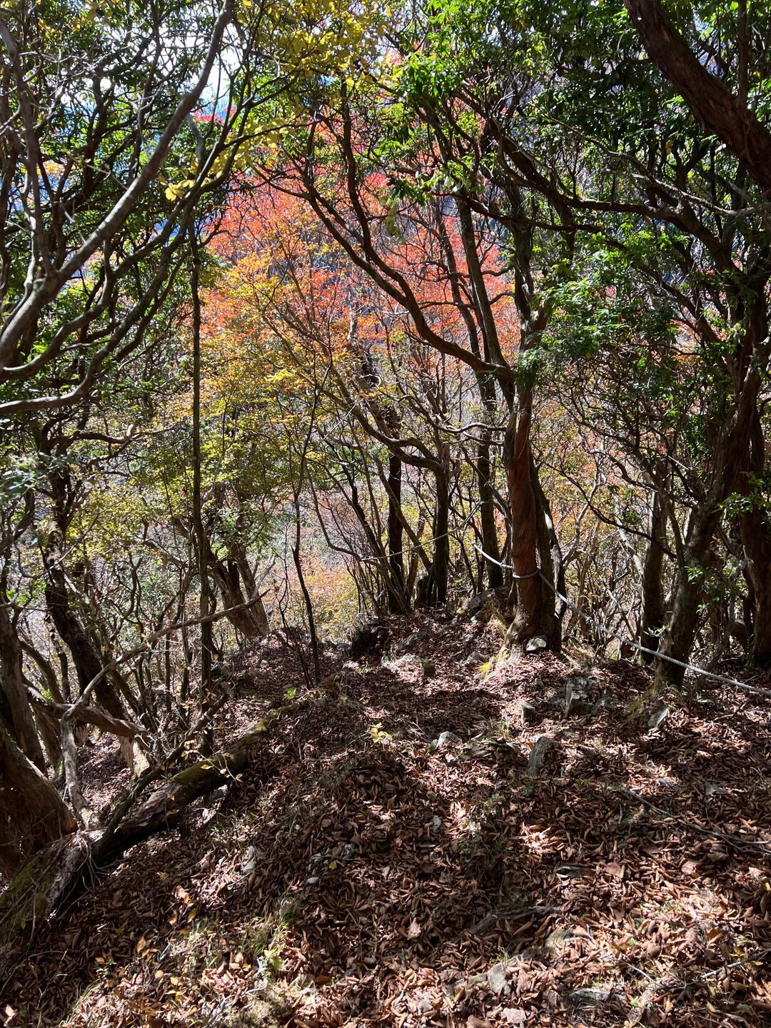 ken-endoさんの投稿したフィールドメモ | YAMAP / ヤマップ